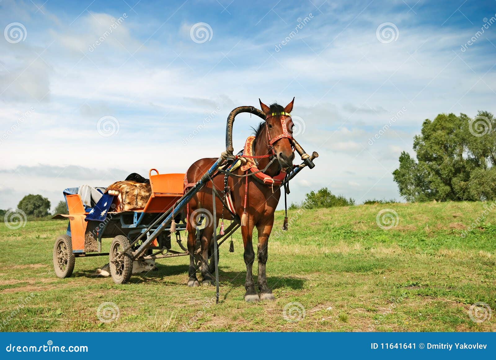 115 Non Motorized Vehicle Stock Photos - Free & Royalty-Free Stock ...