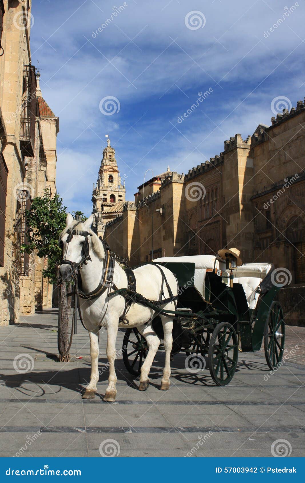 Horse Driven Carriage in Cordoba Stock Photo - Image of harness ...