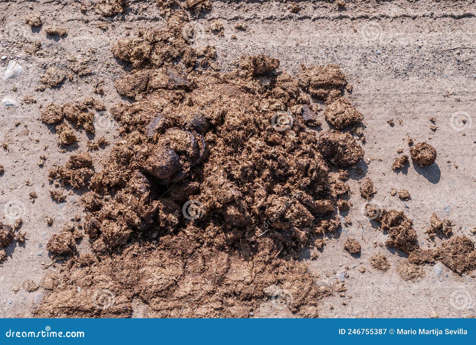 Horse Droppings Scatological Brown Concept Shape and Texture. Stock ...