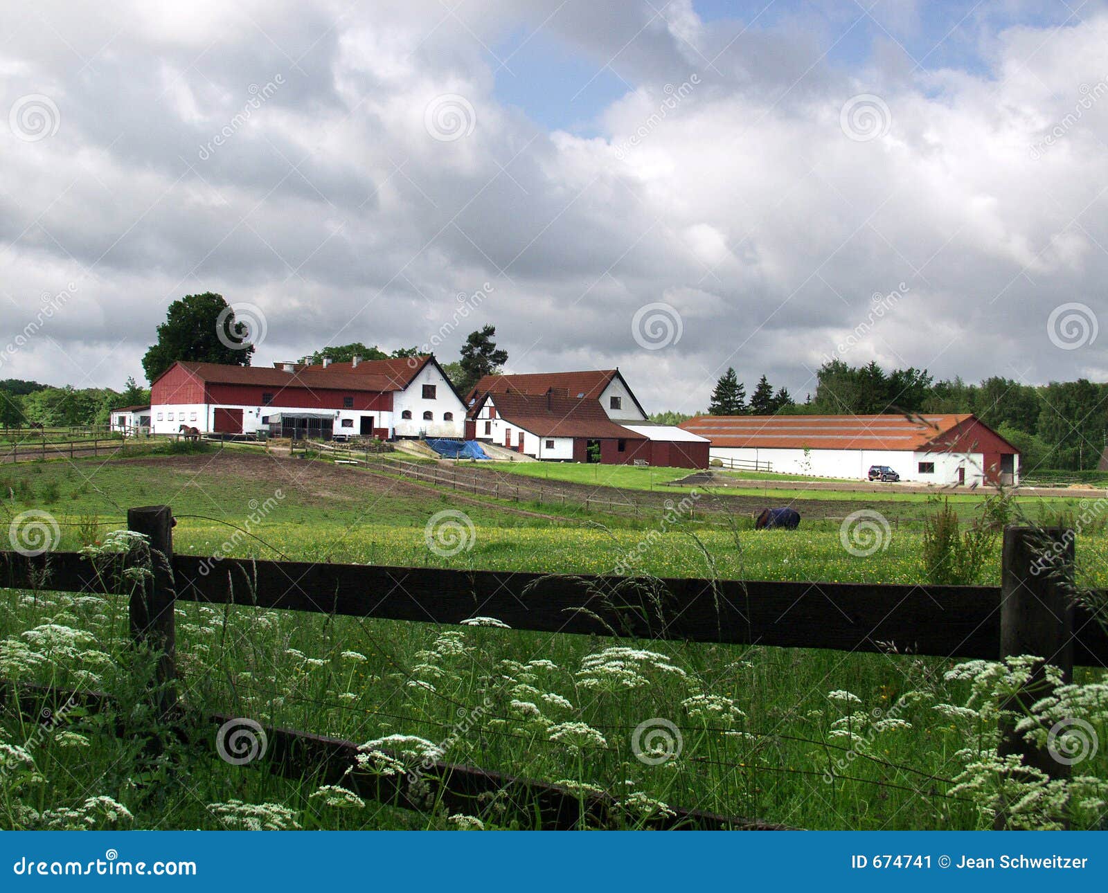 Horse farm stock image. Image of rural, scandinavian, seeland - 674741