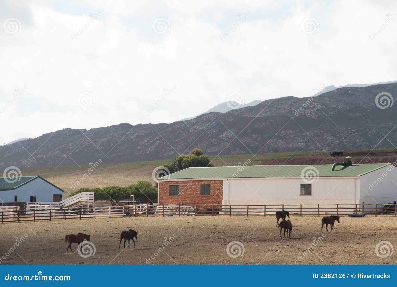 Horse farm landscape stock image. Image of landscape - 23821267