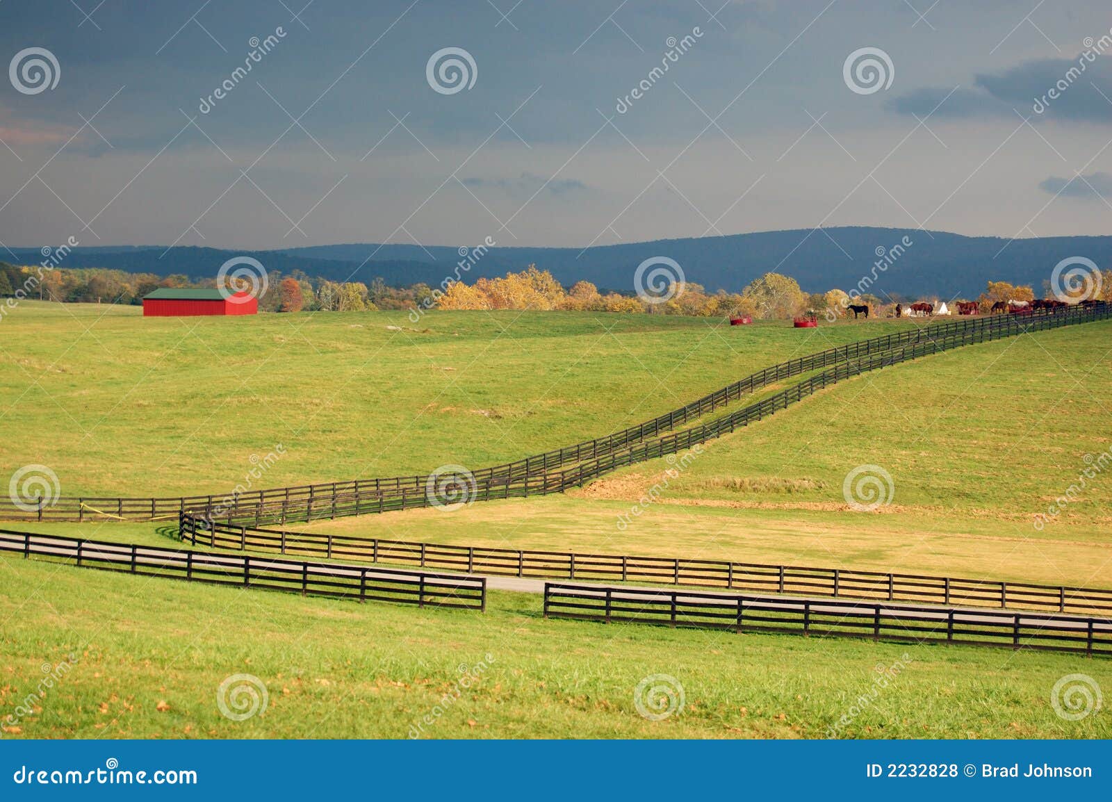 Horse farm in Virginia stock photo. Image of field, farm - 2232828