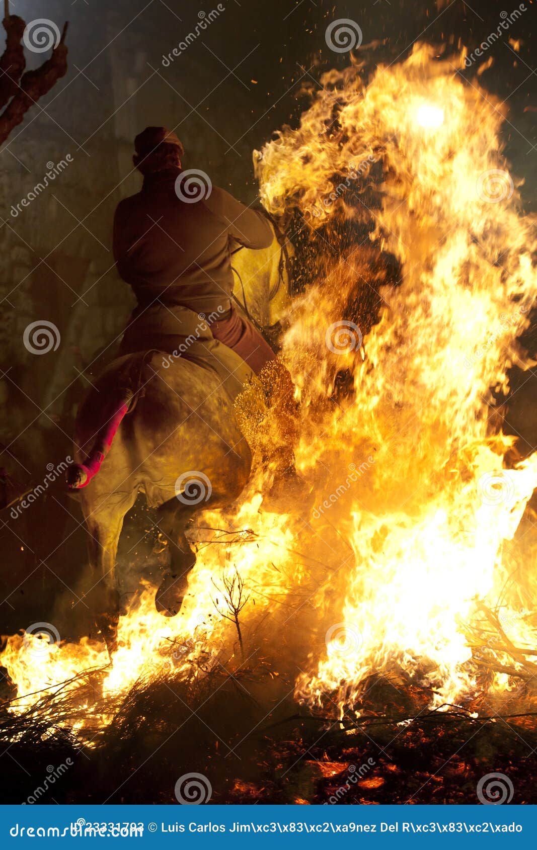 Horse and fire stock image. Image of flaming, detail - 23331793