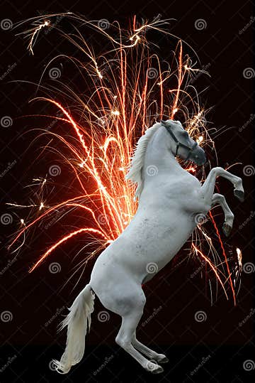 Horse fireworks stock image. Image of levade, firework - 3756923