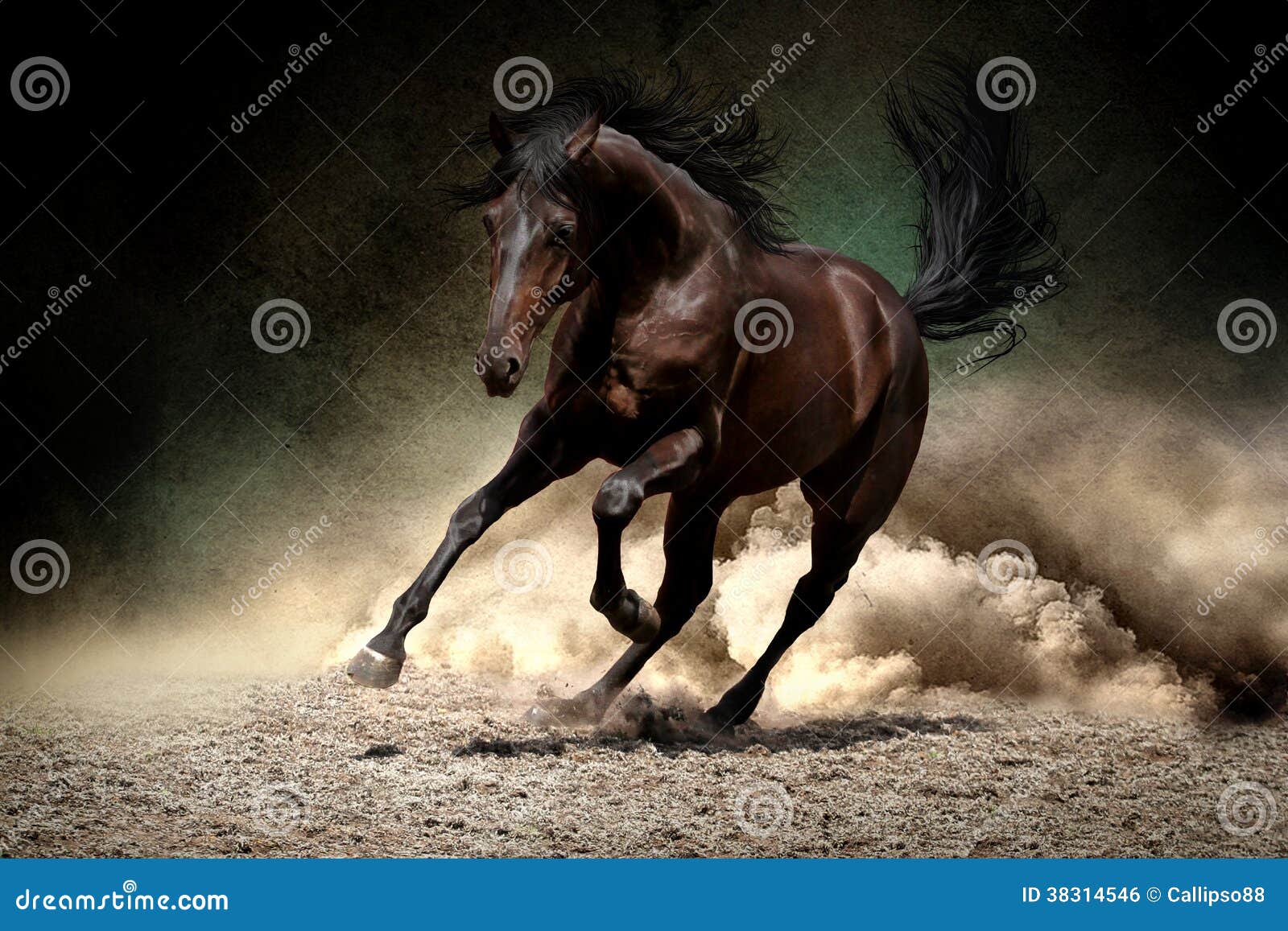 Horse gallop in desert stock photo. Image of animal, hoofed - 38314546
