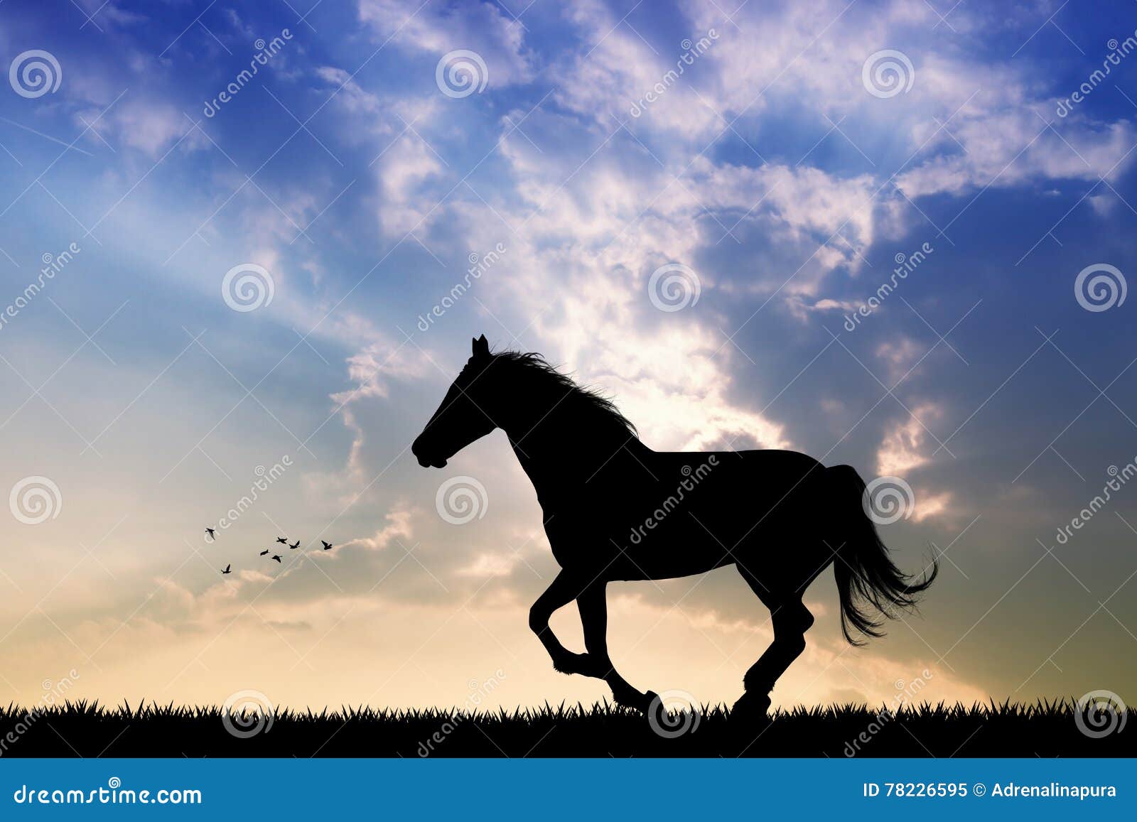 Horse gallop at sunset stock illustration. Illustration of nature ...