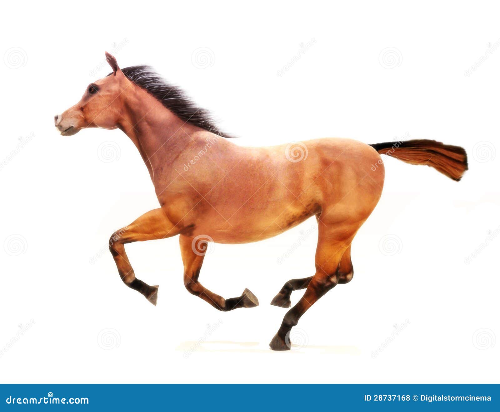 Gallop Cartoons, Illustrations & Vector Stock Images - 7652 Pictures to ...