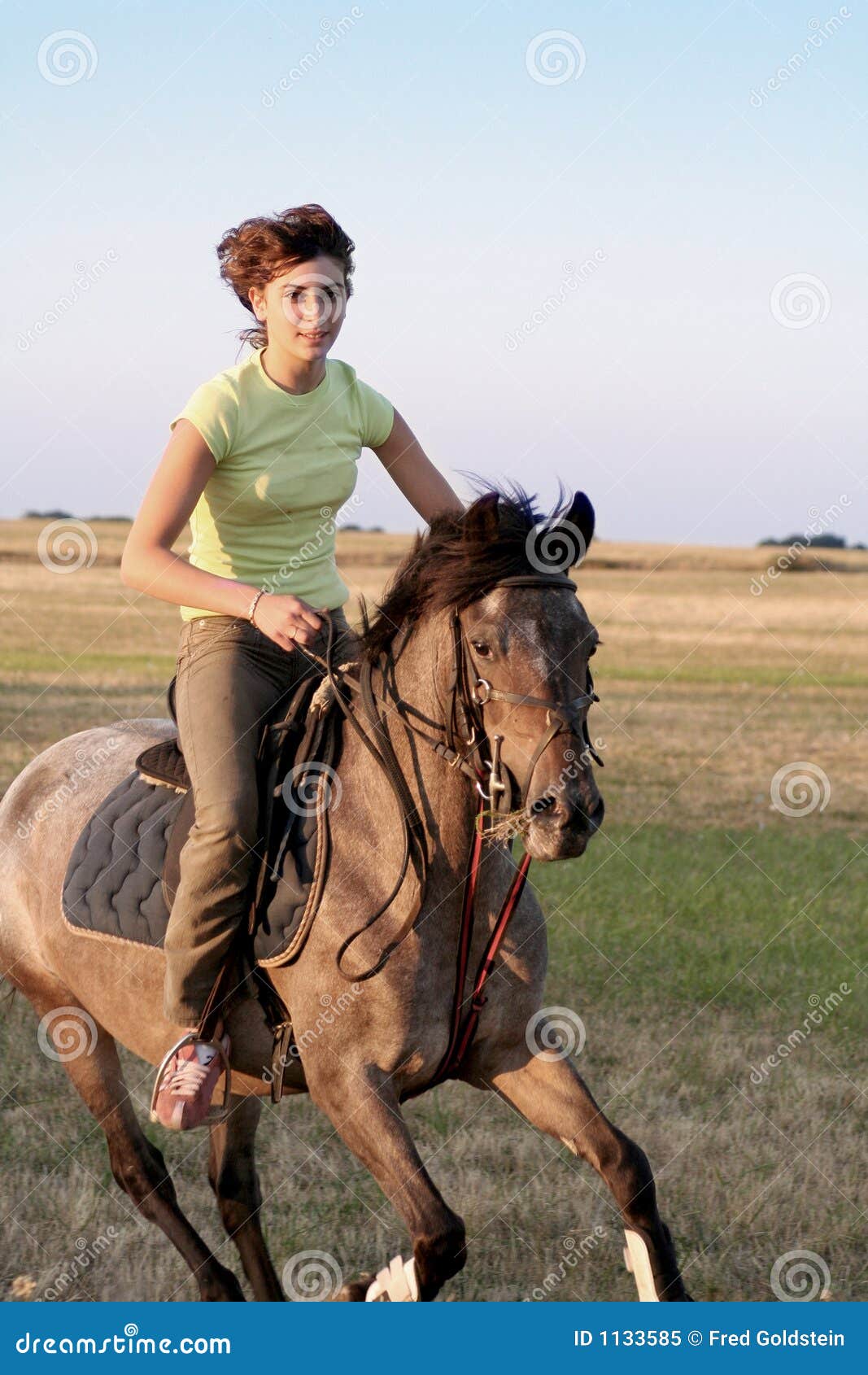 Horse galloping stock image. Image of children, happy - 1133585