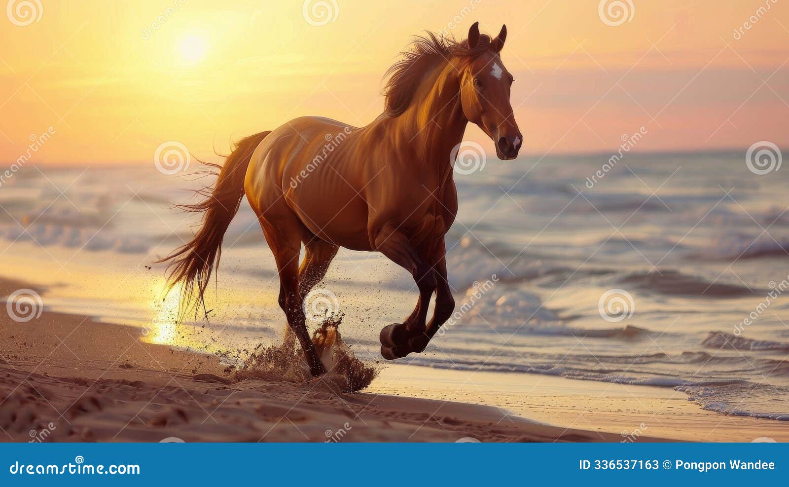 Horse Galloping on Beach at Sunset with Waves in Background Stock ...
