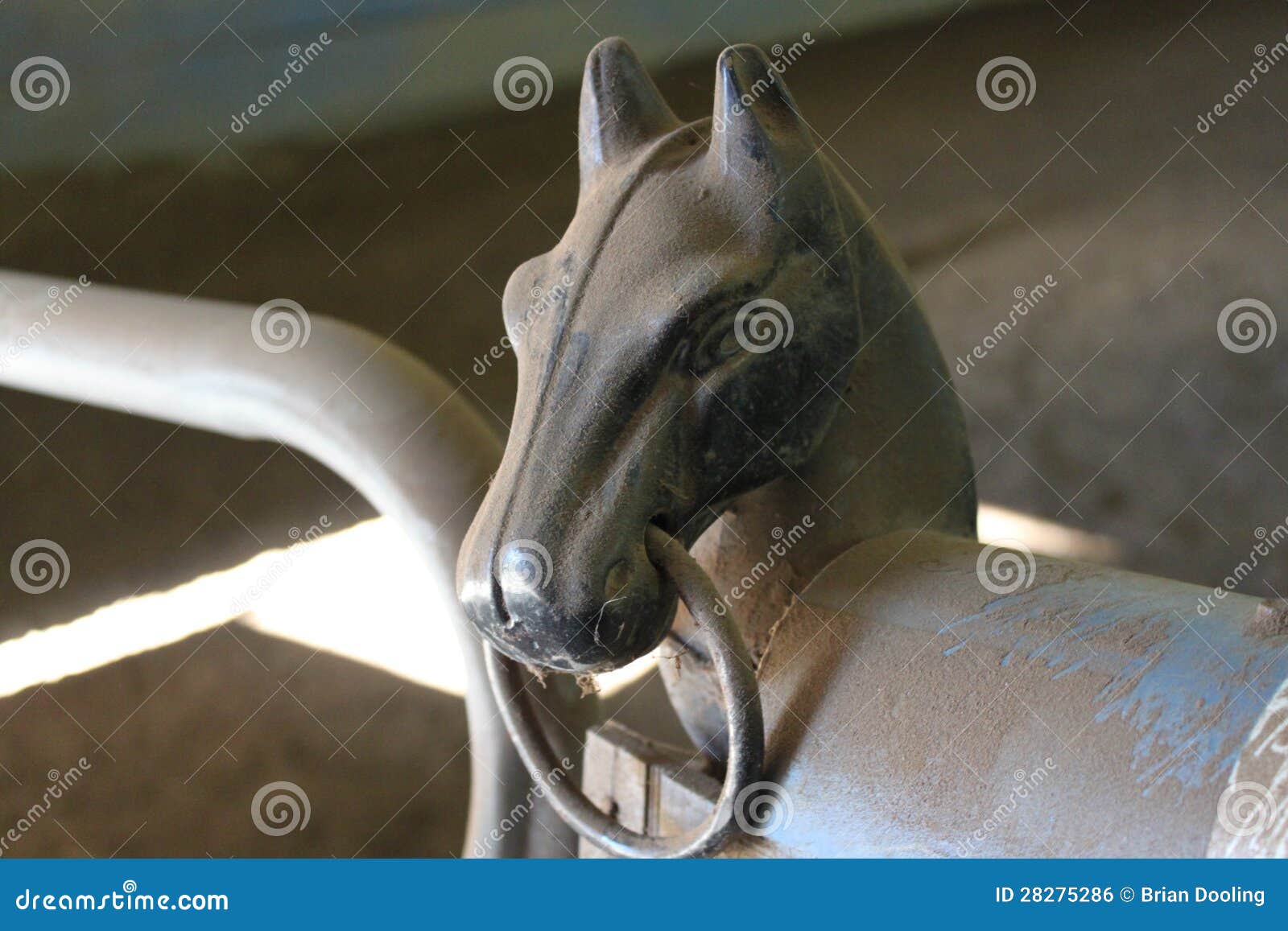 Horse Gate stock photo. Image of brown, farm, riding - 28275286
