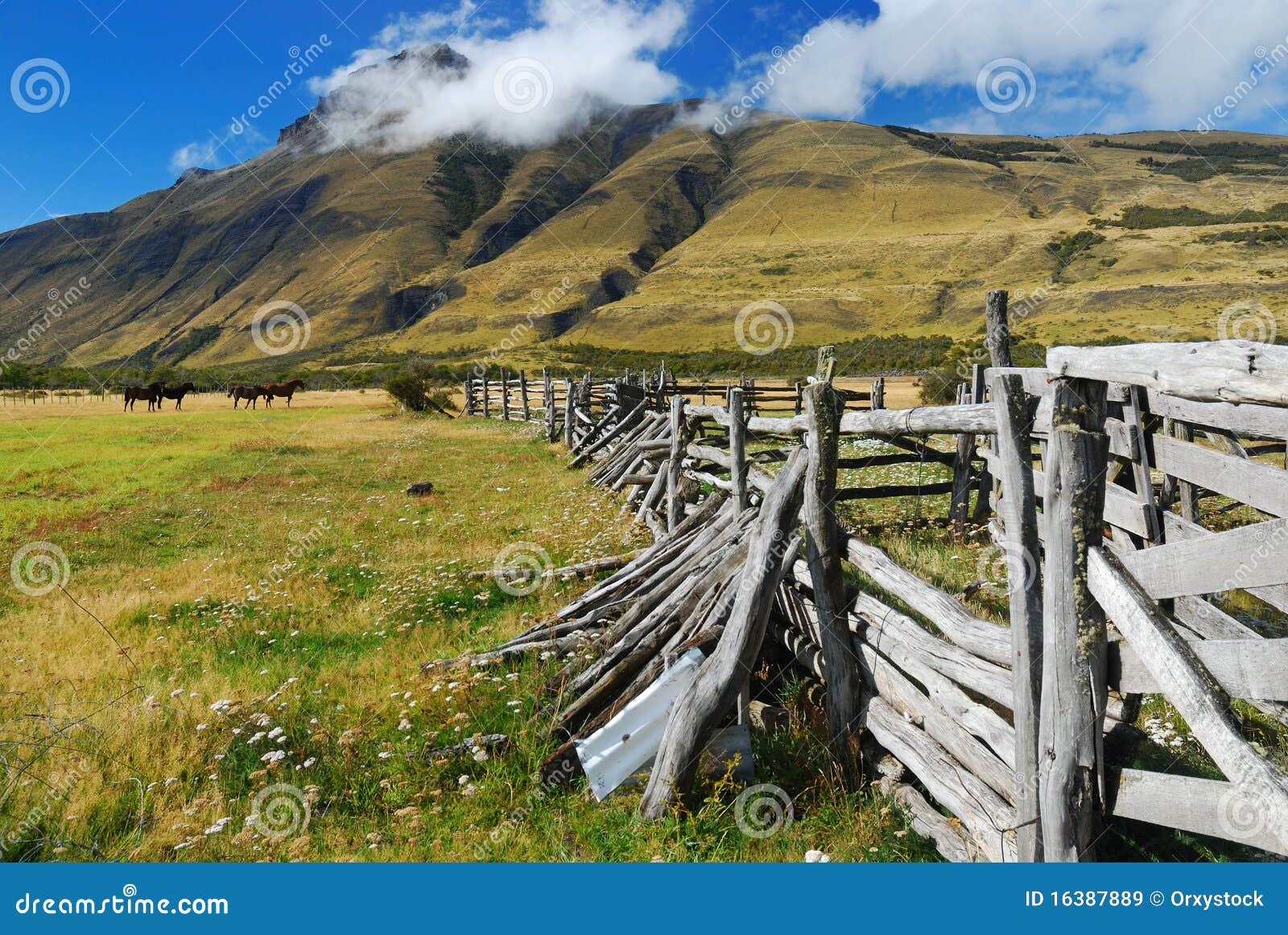 Horse Gate in Patagonia stock image. Image of idyllic - 16387889