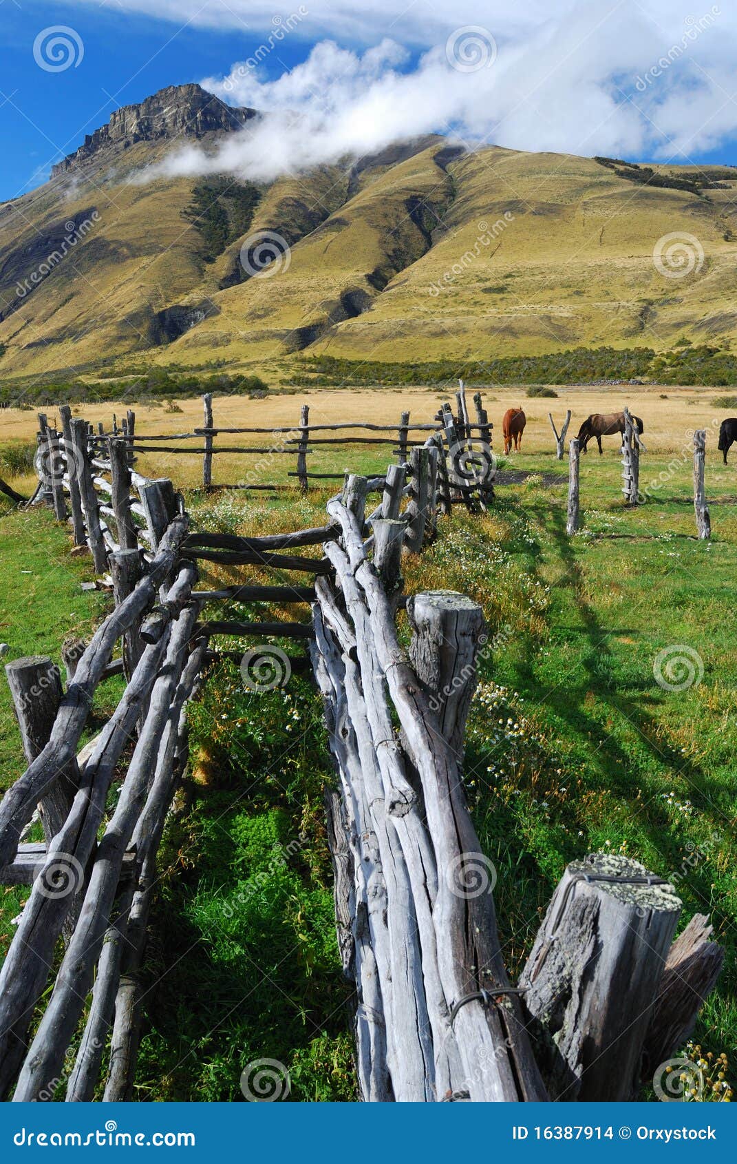 Horse Gate in Patagonia stock photo. Image of mountain - 16387914
