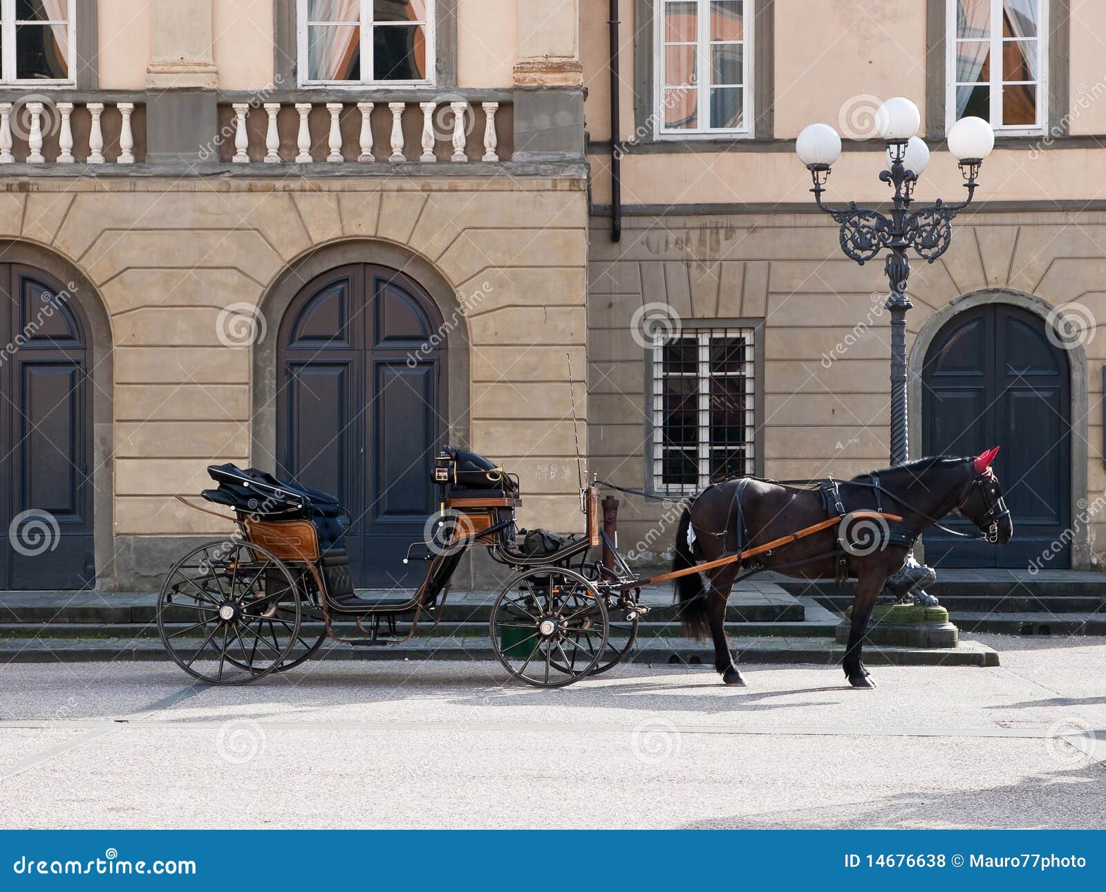 Horse and gig stock photo. Image of city, barouche, chaise - 14676638
