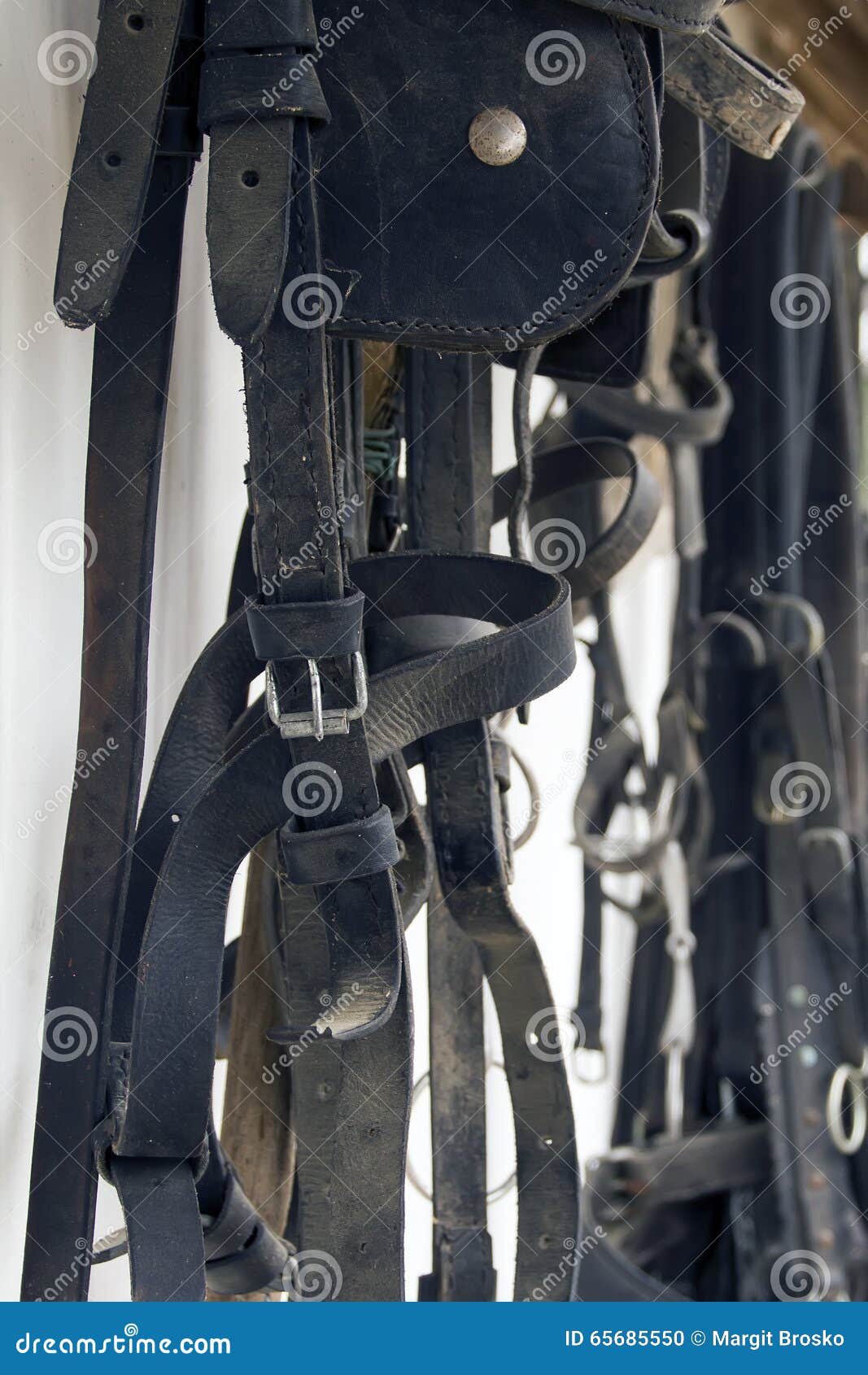 Hanging Old Horse Harness 6 Stock Photo | CartoonDealer.com #78132072