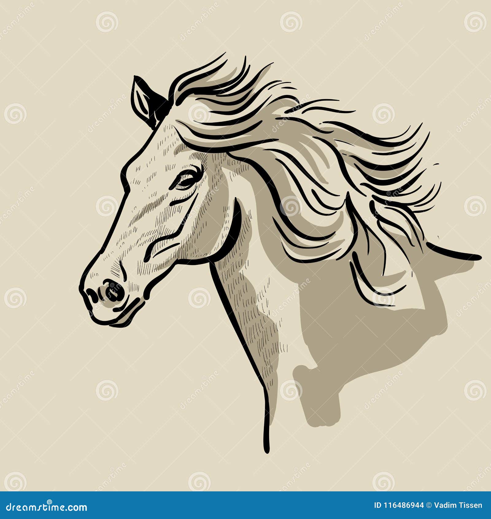 Horses Head Flowing Mane Clipart