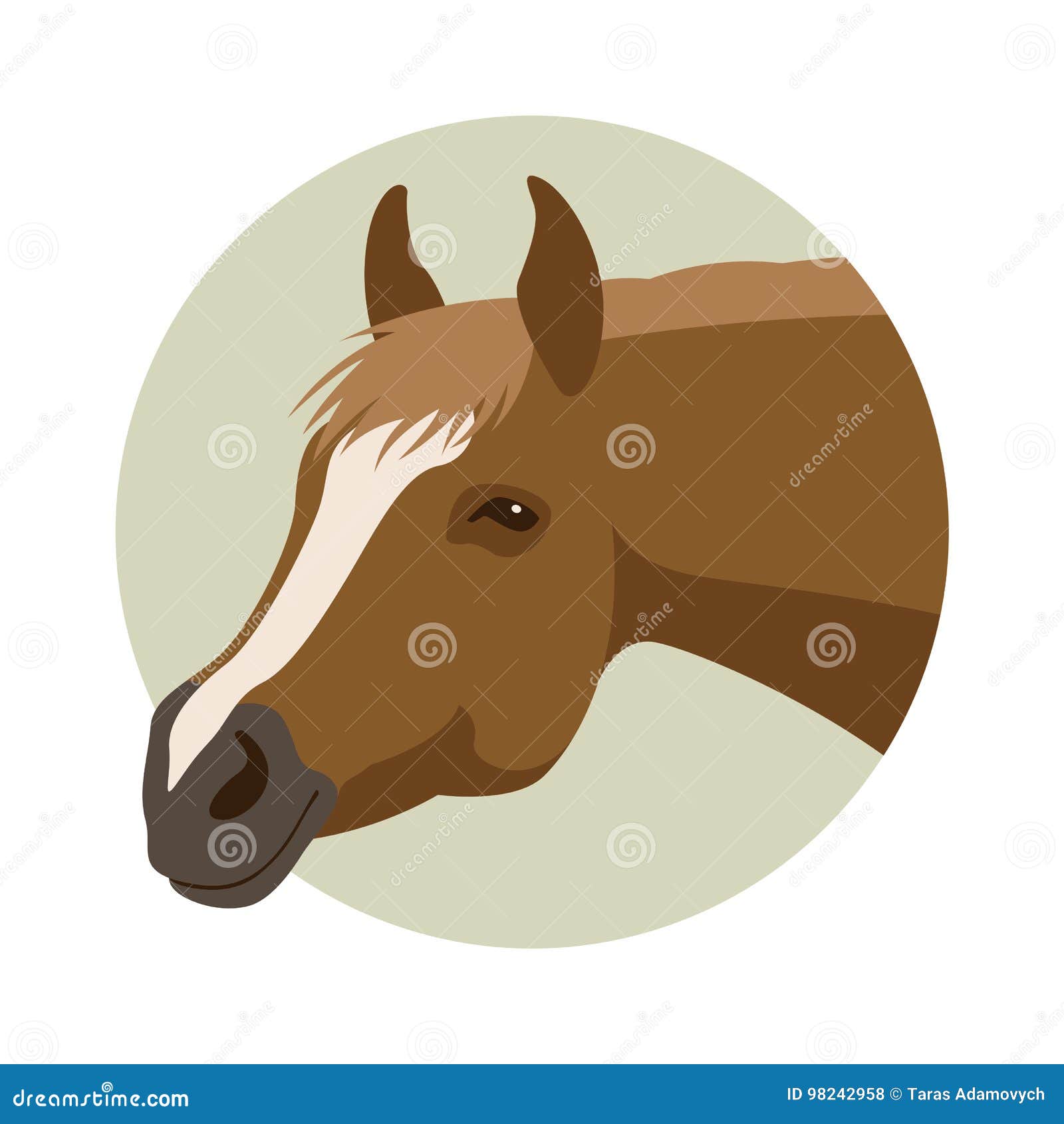 Cartoon Horse Face Front