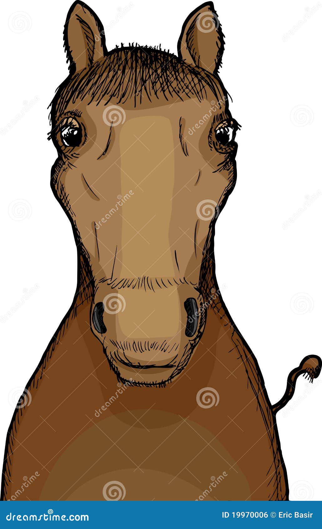 Horse Illustration stock vector. Illustration of animal - 19970006