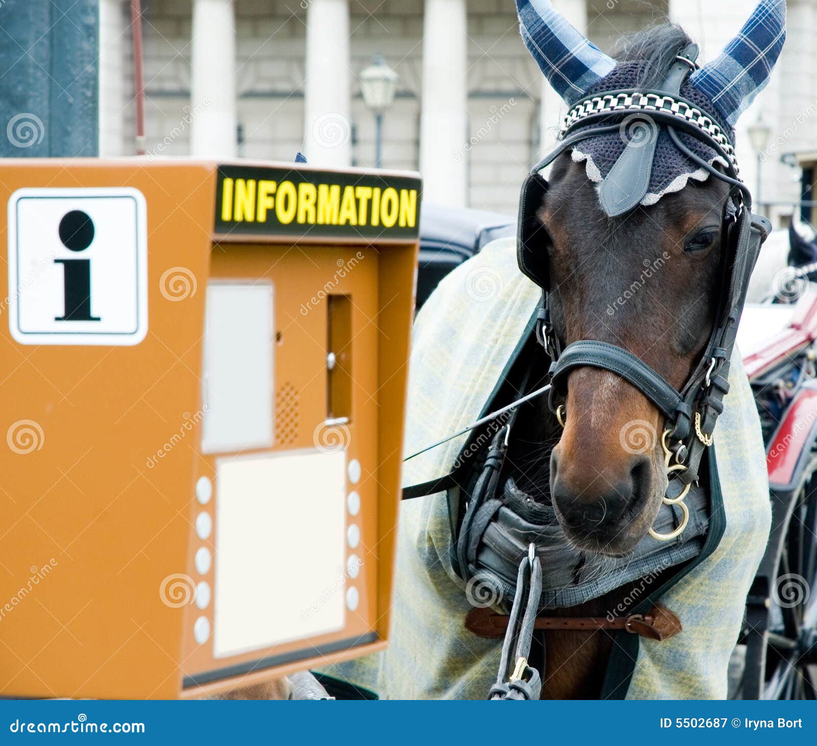 Horse and Information Booth Stock Image - Image of help, horse: 5502687