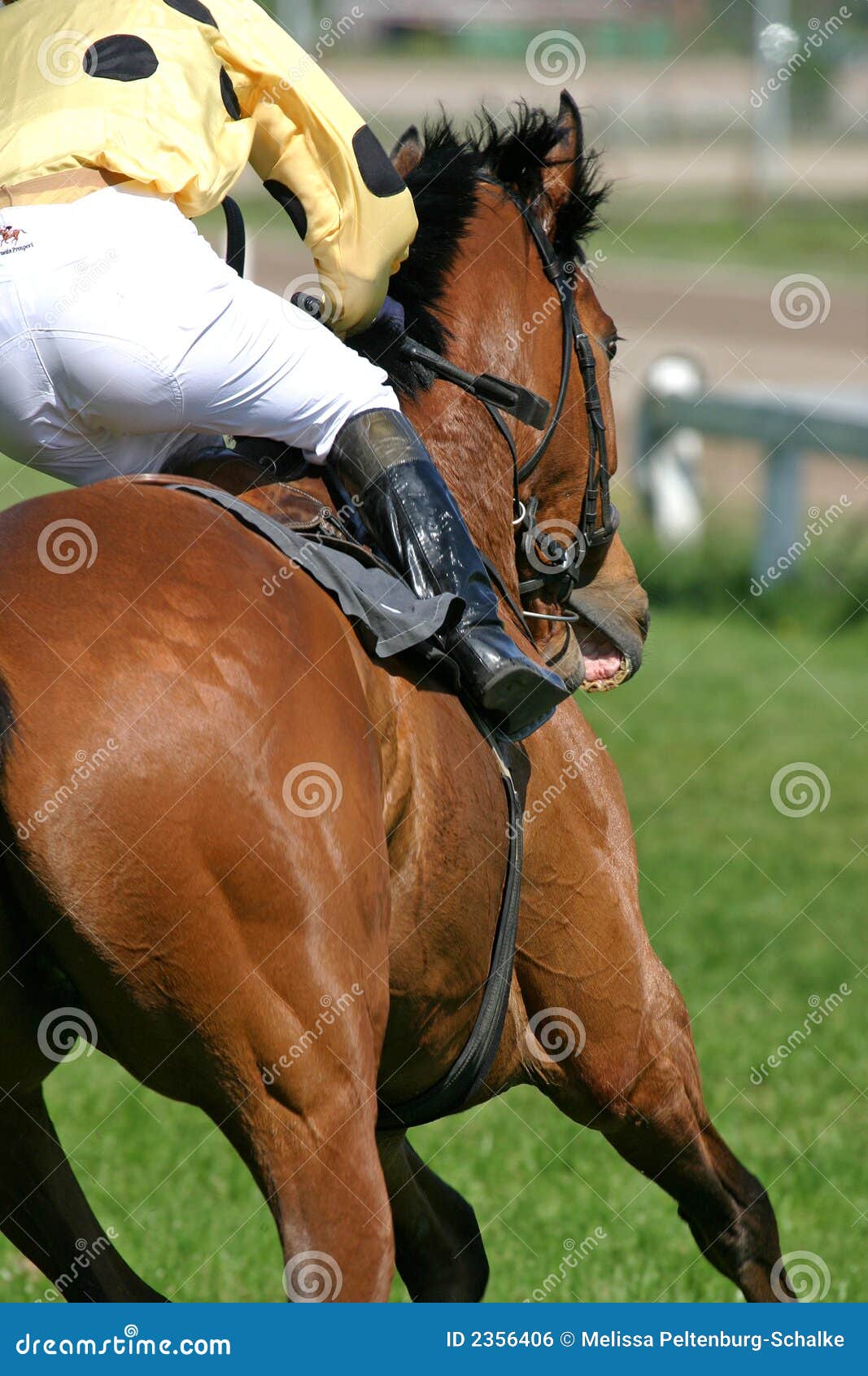 Horse and jockey stock photo. Image of racetrack, horses - 2356406