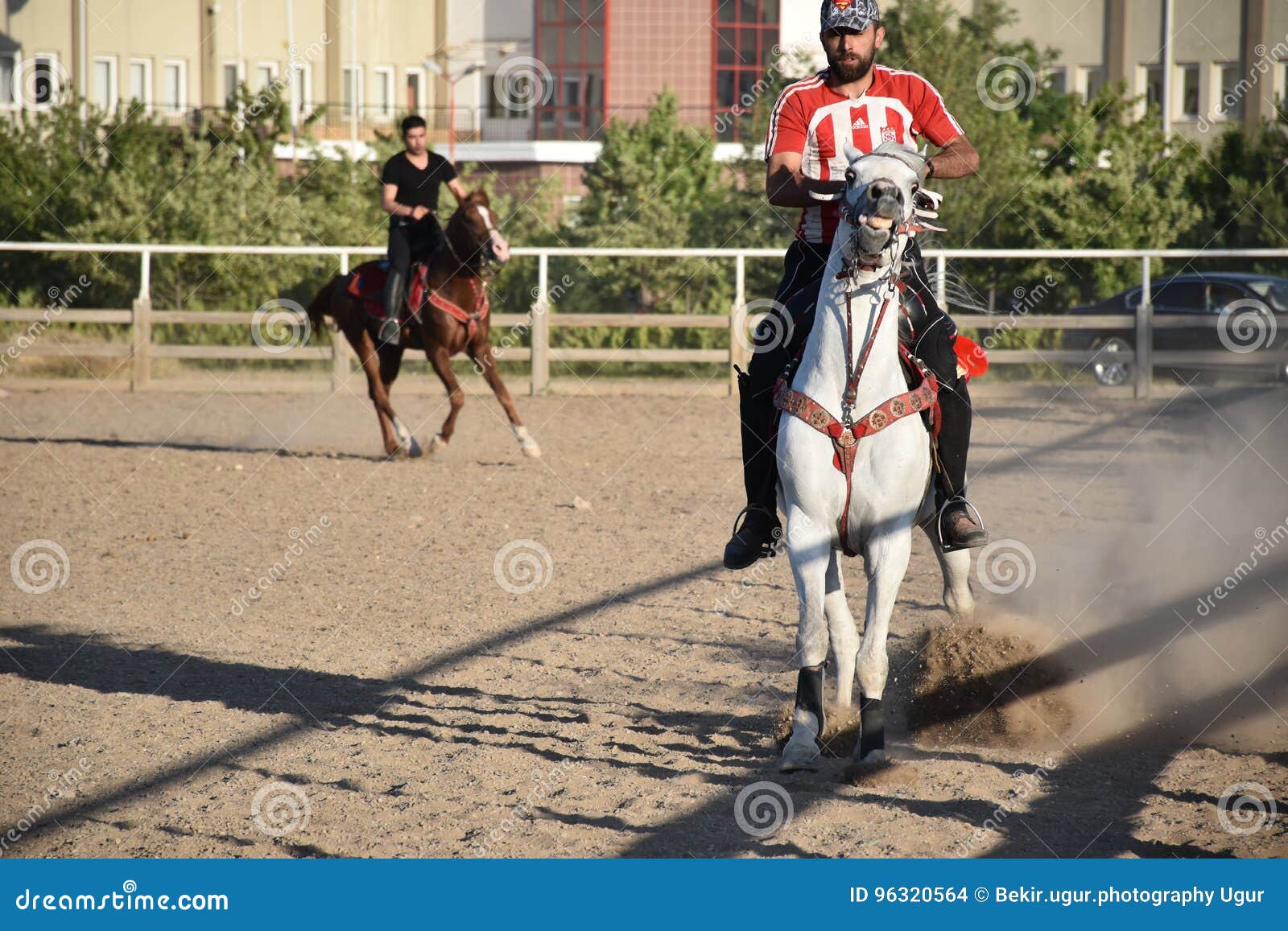Horse and jockey editorial stock image. Image of hurdle - 96320564
