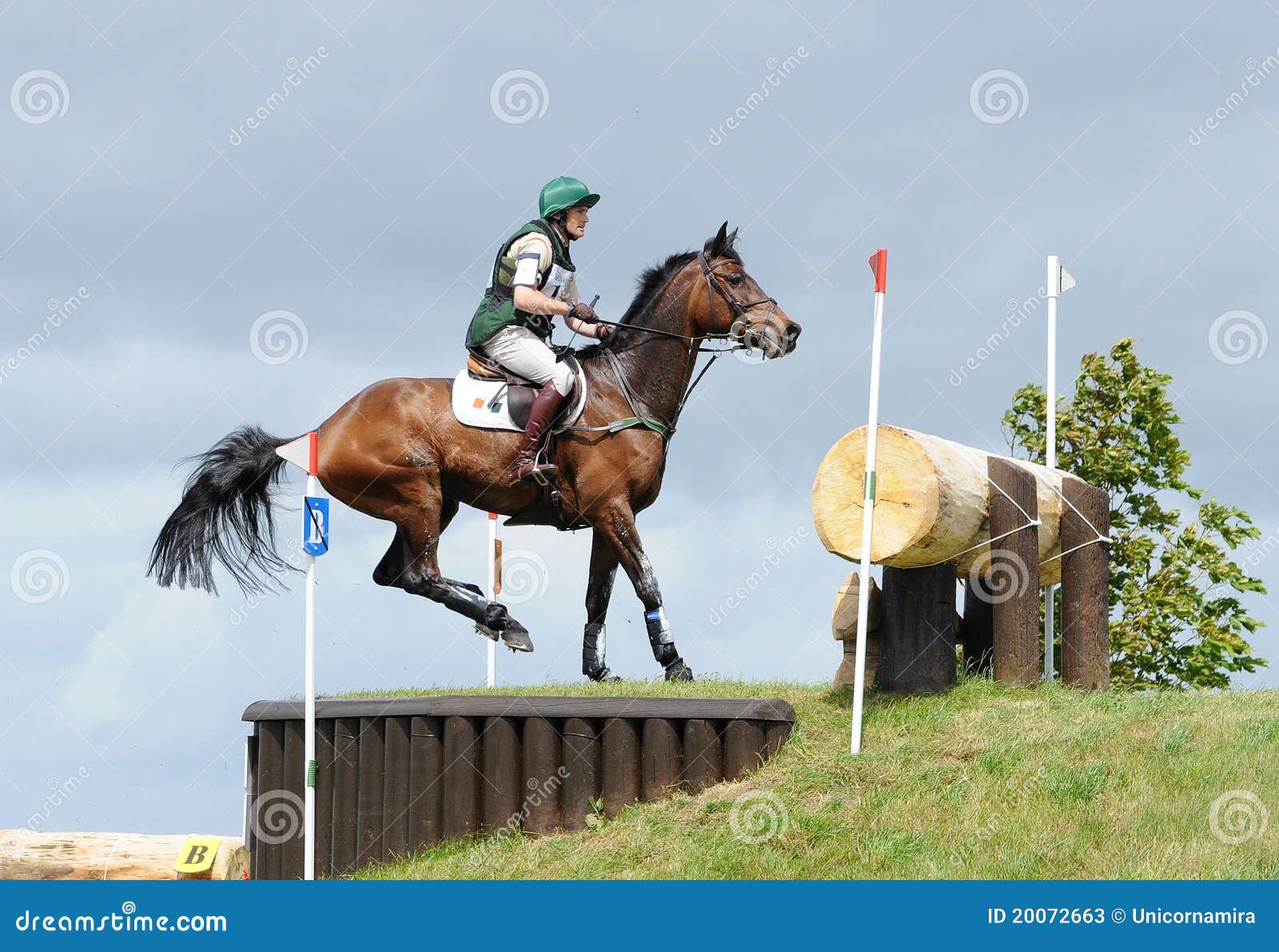 Horse after jump editorial stock photo. Image of cournane - 20072663