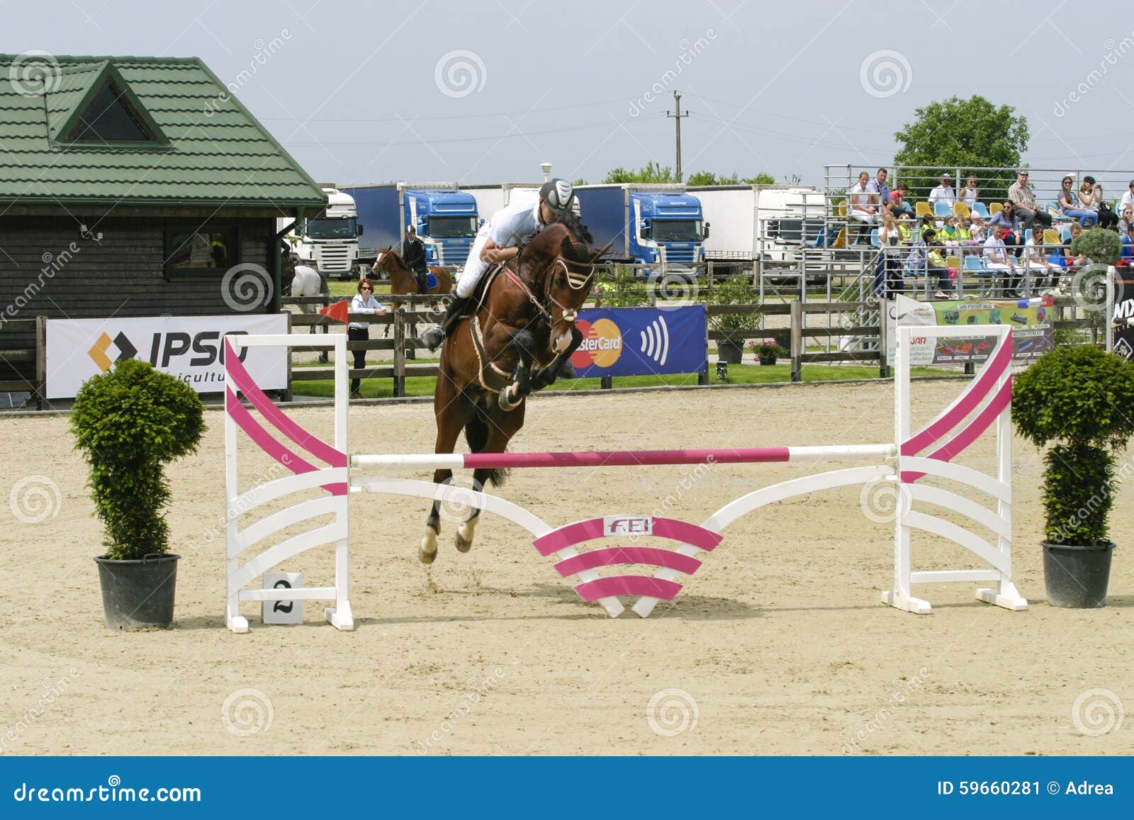 Equitation Contest, Horse Jumping Over Obstacle Editorial Photo - Image ...