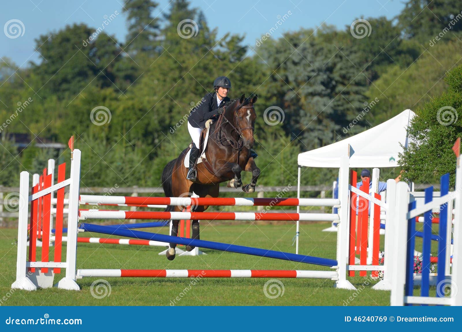 Horse Jumping Editorial Image | CartoonDealer.com #55253268