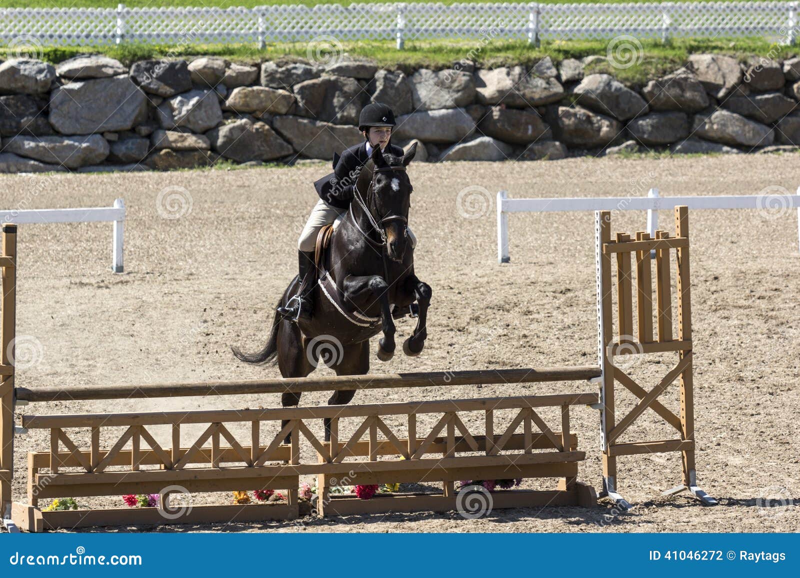 Horse jumping editorial photography. Image of center - 41046272 Horse jumping editorial photography. Image of center - 41046272
