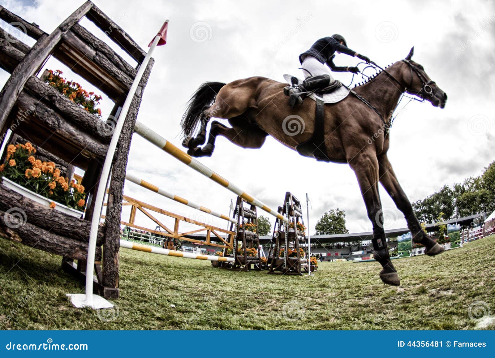 Horse jumping competition editorial photo. Image of show - 44356481 Horse jumping competition editorial photo. Image of show - 44356481