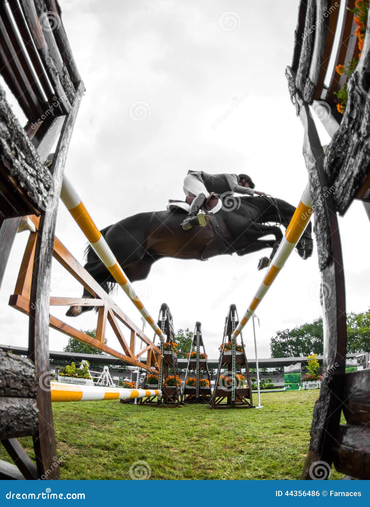 Horse jumping competition editorial photo. Image of horseman - 44356486 Horse jumping competition editorial photo. Image of horseman - 44356486