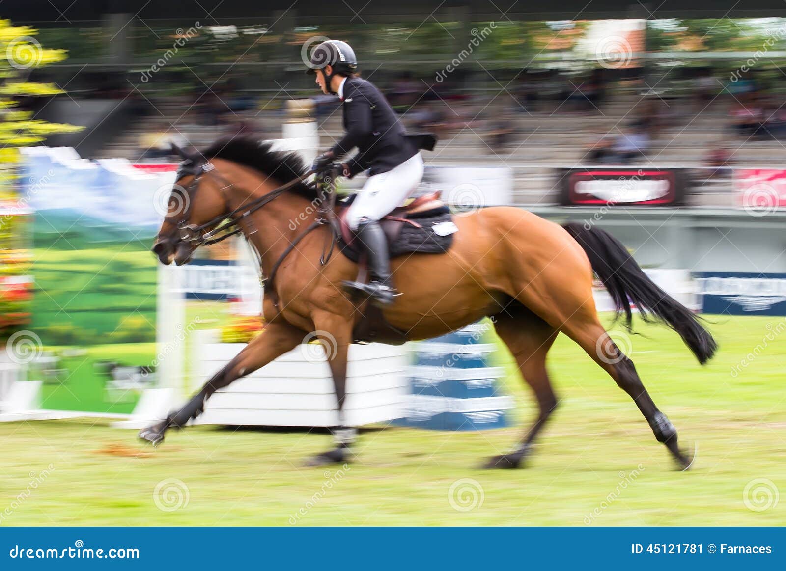 Horse jumping competition editorial photo. Image of sportive - 45121781 Horse jumping competition editorial photo. Image of sportive - 45121781