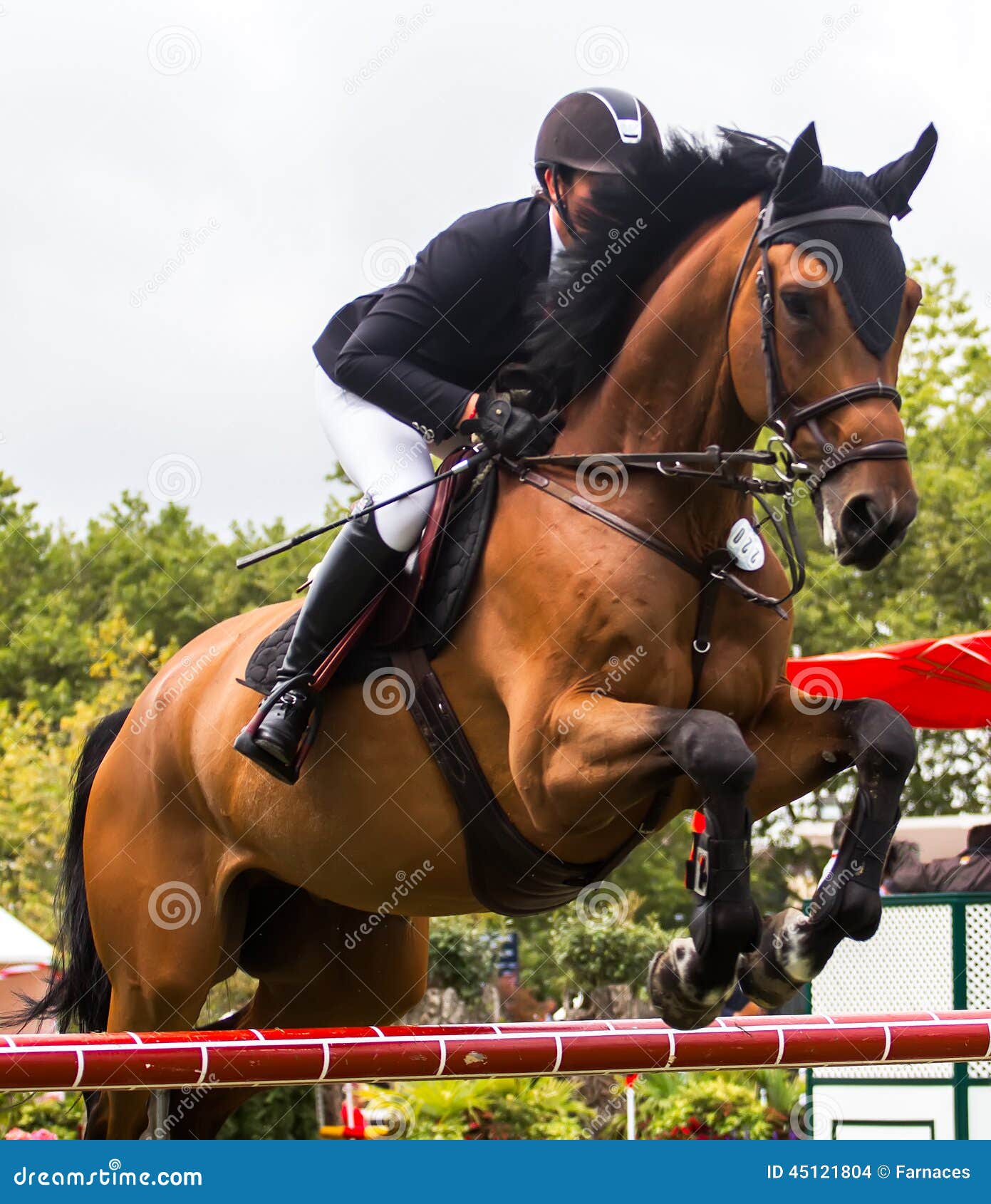 Horse jumping competition editorial stock image. Image of jump - 45121804 Horse jumping competition editorial stock image. Image of jump - 45121804