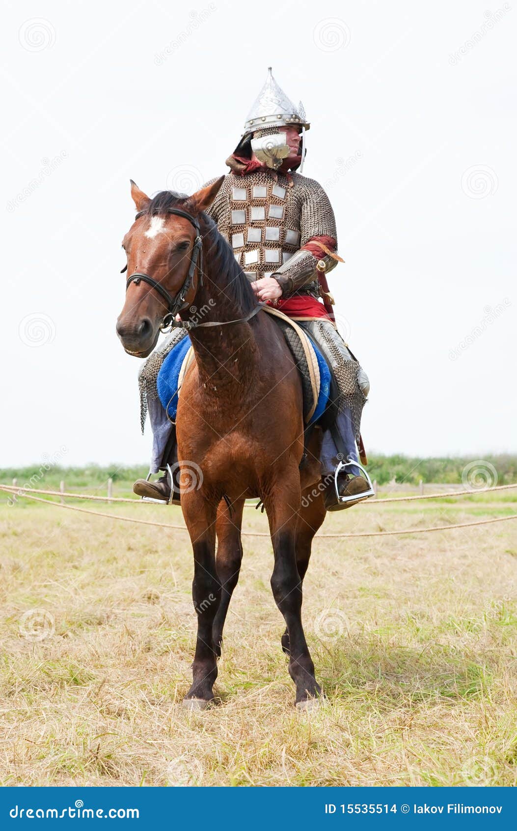 Horse knights editorial stock image. Image of army, historic - 15535514