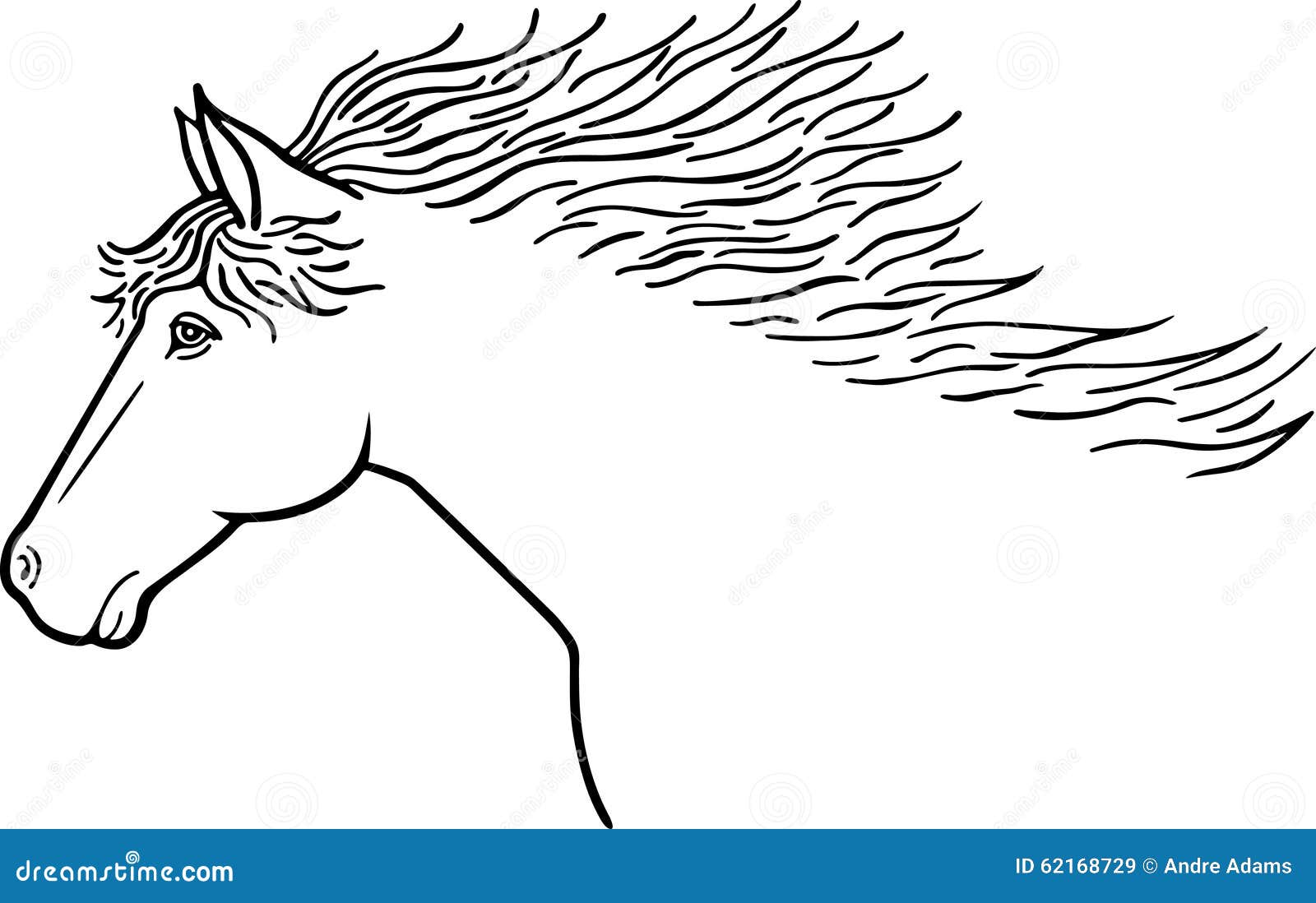 Horse line drawing stock vector. Illustration of animal - 62168729