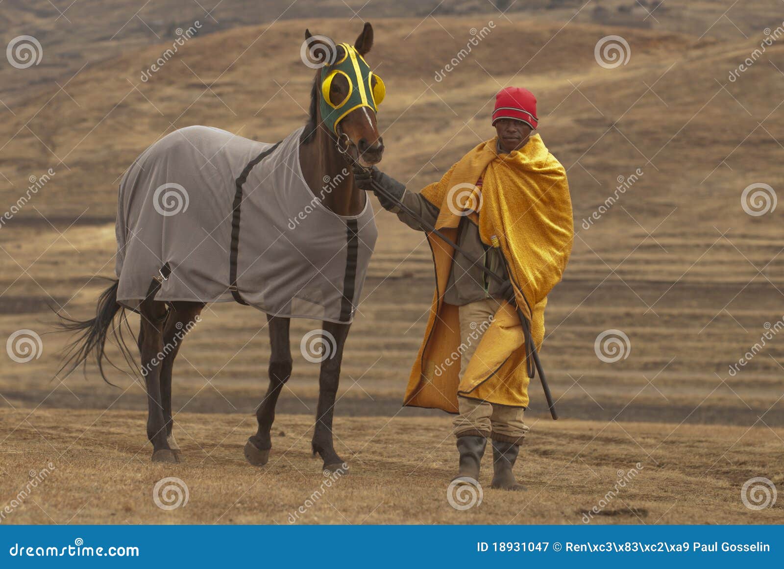 Basotho Racing Pony Editorial Photo | CartoonDealer.com #18930849