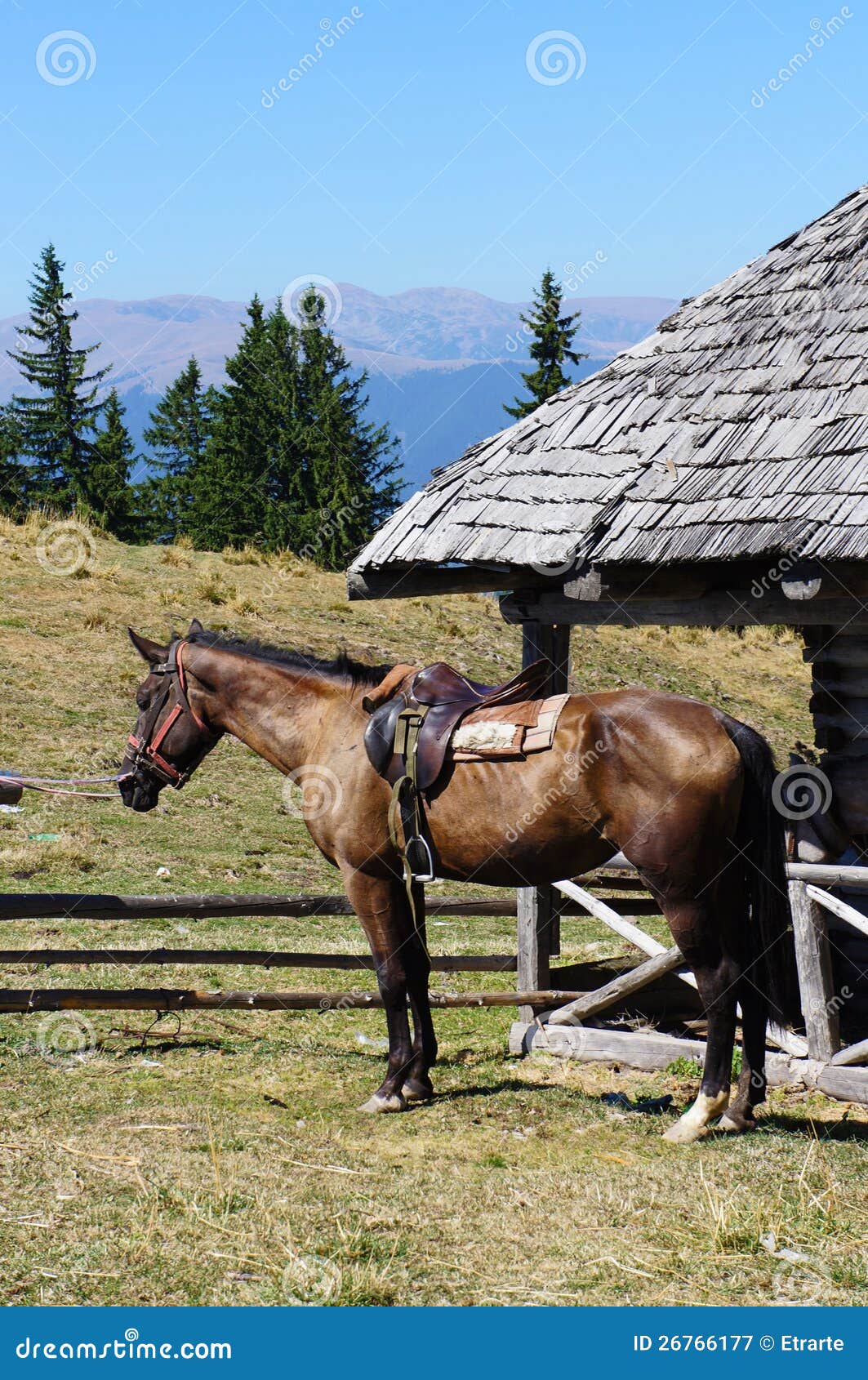 Horse in a mountain stable stock image. Image of farmhouse - 26766177