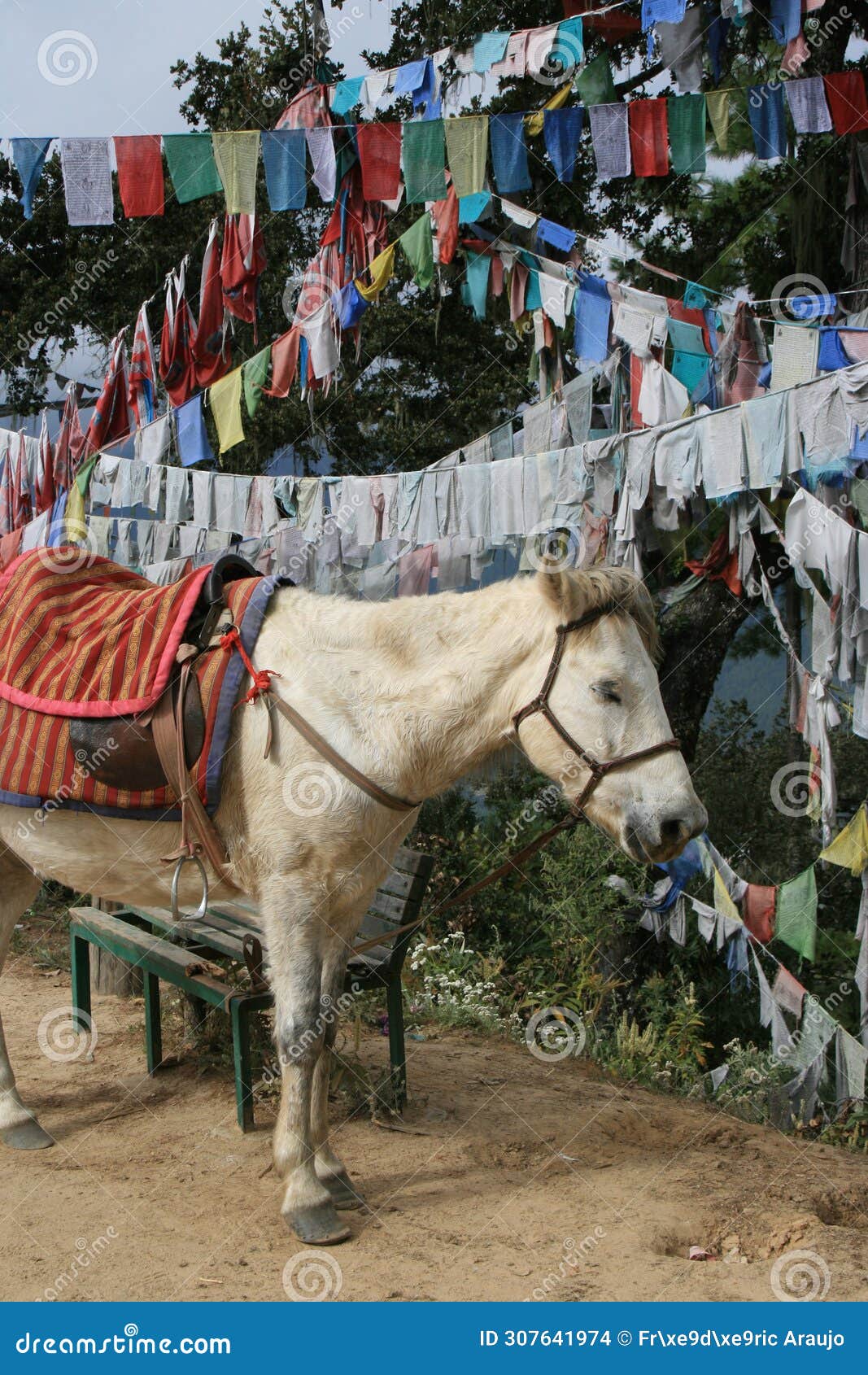Horse (or Mule ?) and Prayer Flags (bhutan) Stock Photo - Image of mule ...