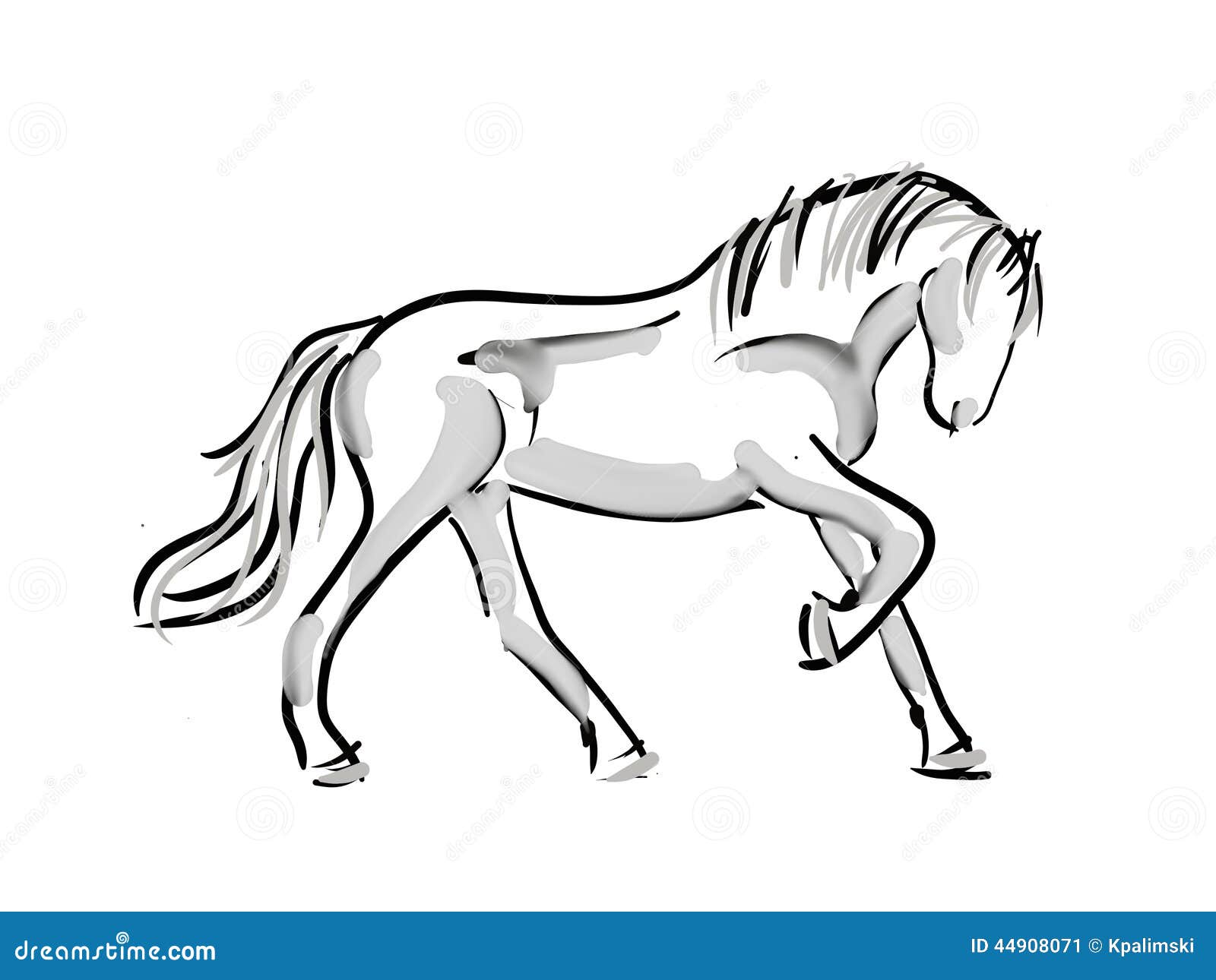 Wild Horse Drawing Outline