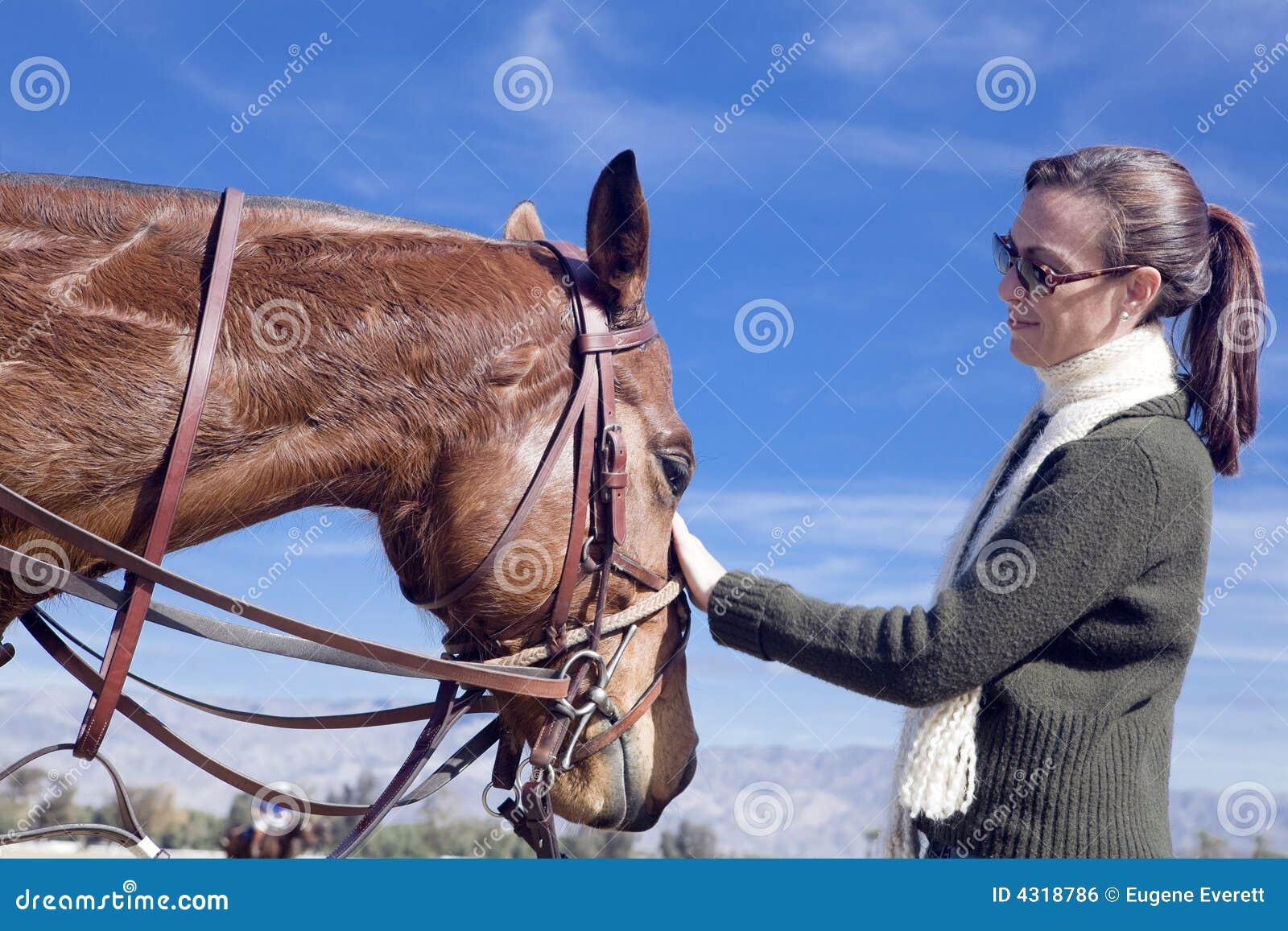 Horse Pat stock photo. Image of animals, springs, scenic - 4318786