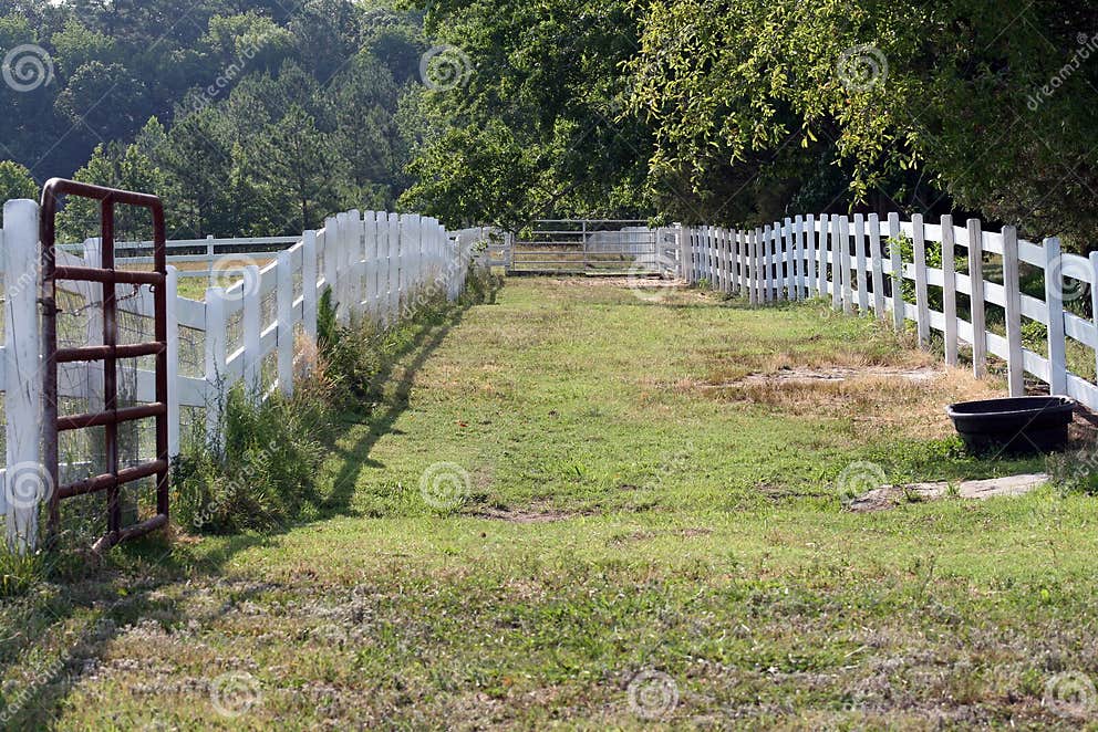 Horse path stock photo. Image of outside, white, farm - 5836490