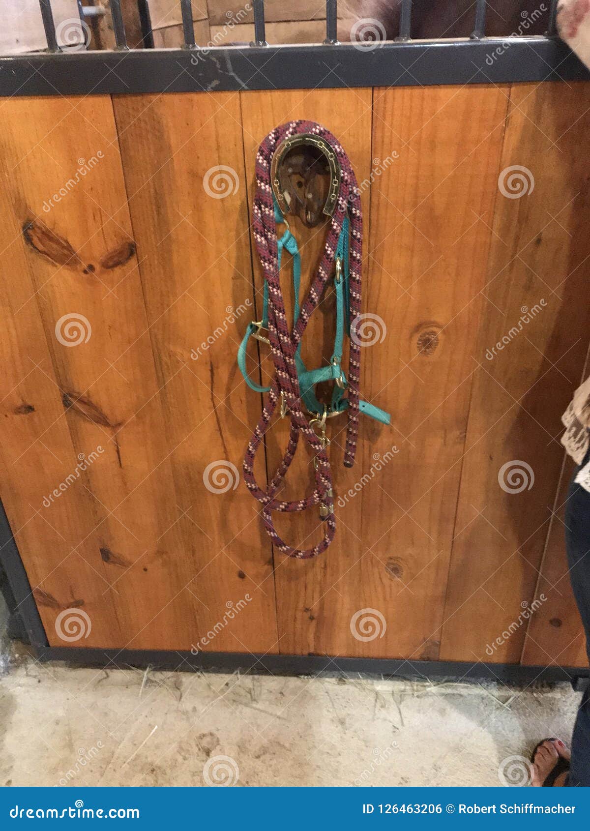 Horse pen stock photo. Image of ropes, idle, horse - 126463206