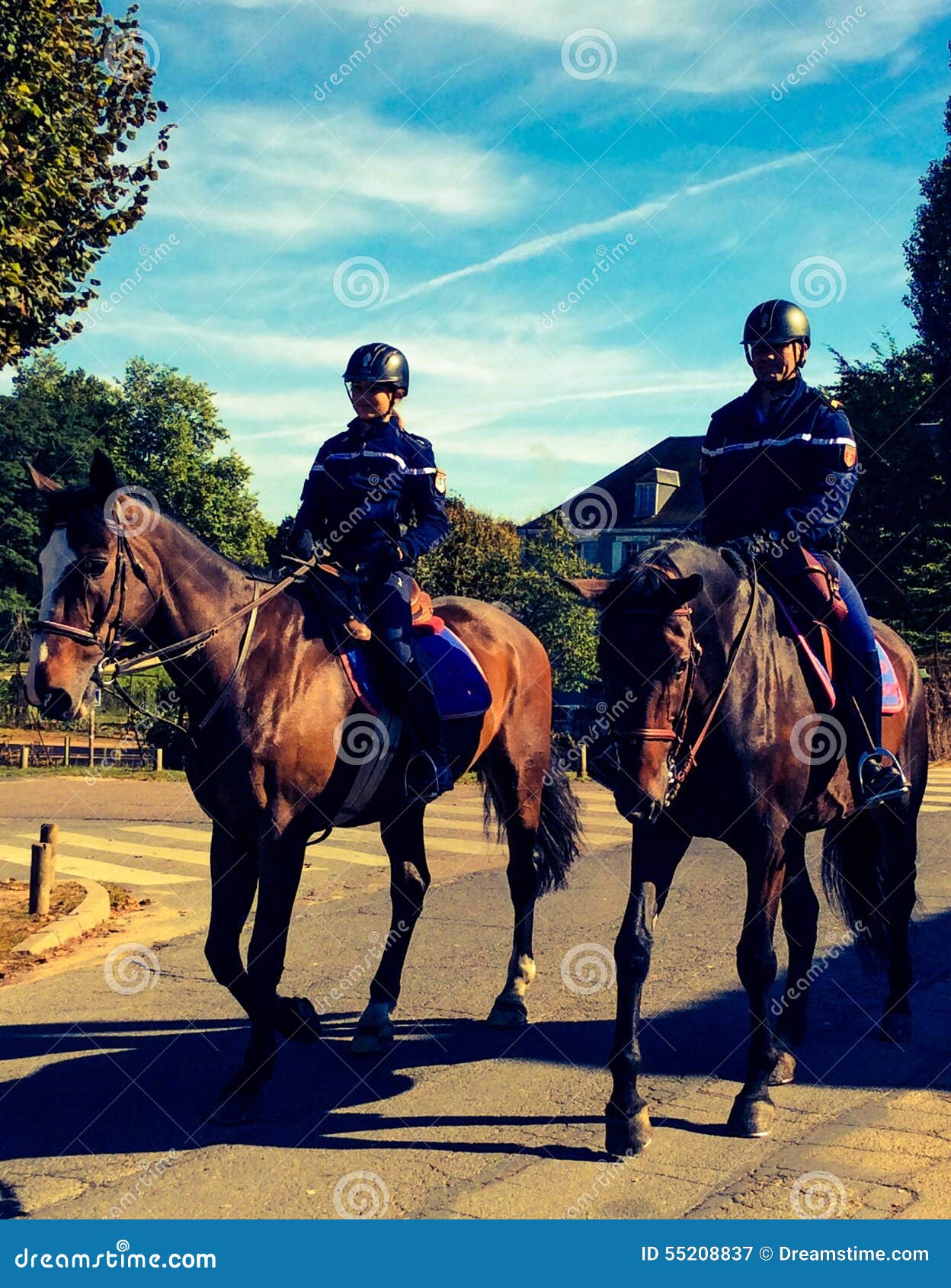 Horse editorial photography. Image of people, nature - 55208837