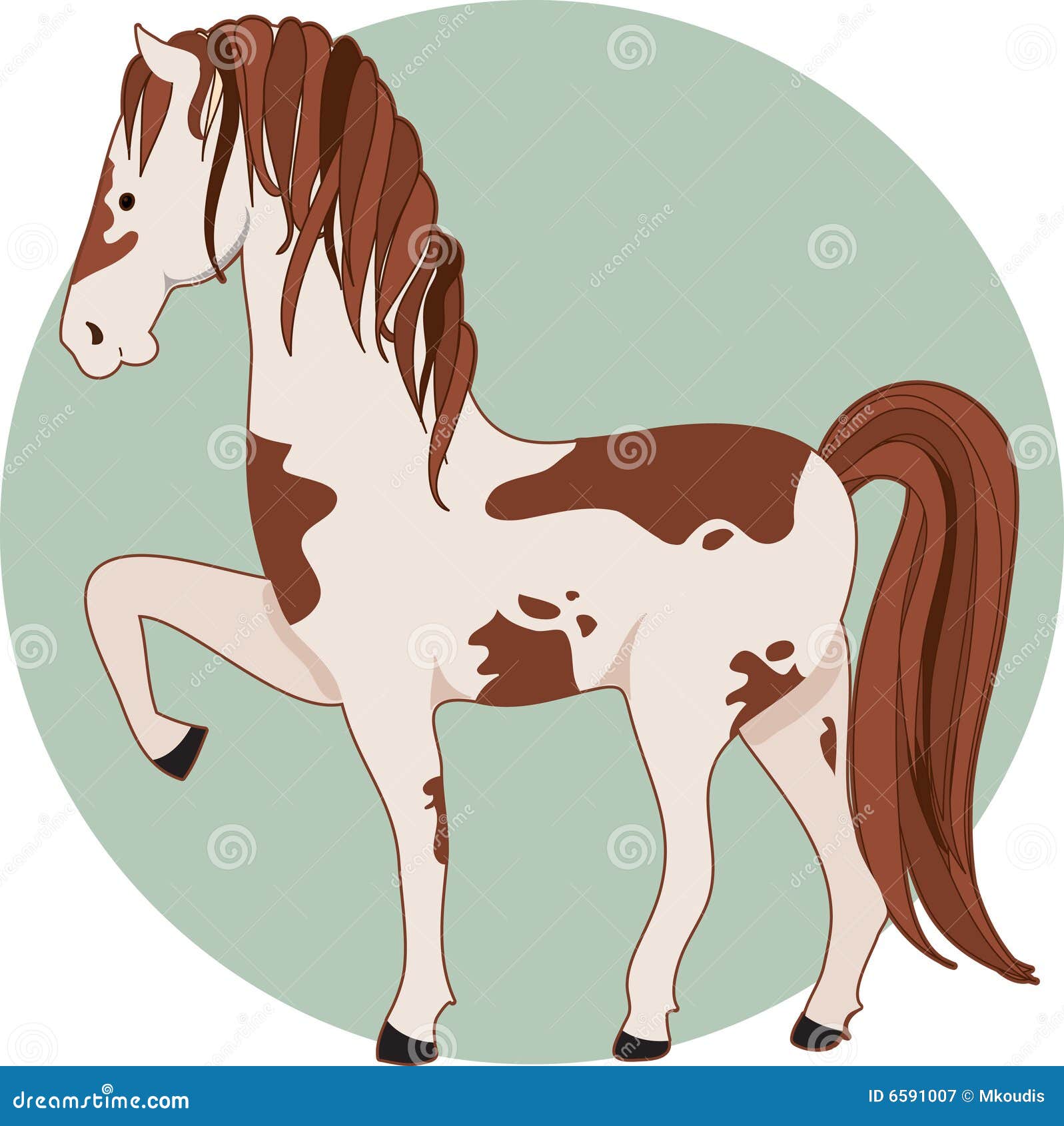 Horse Pinto stock vector. Illustration of mammal, mane - 6591007
