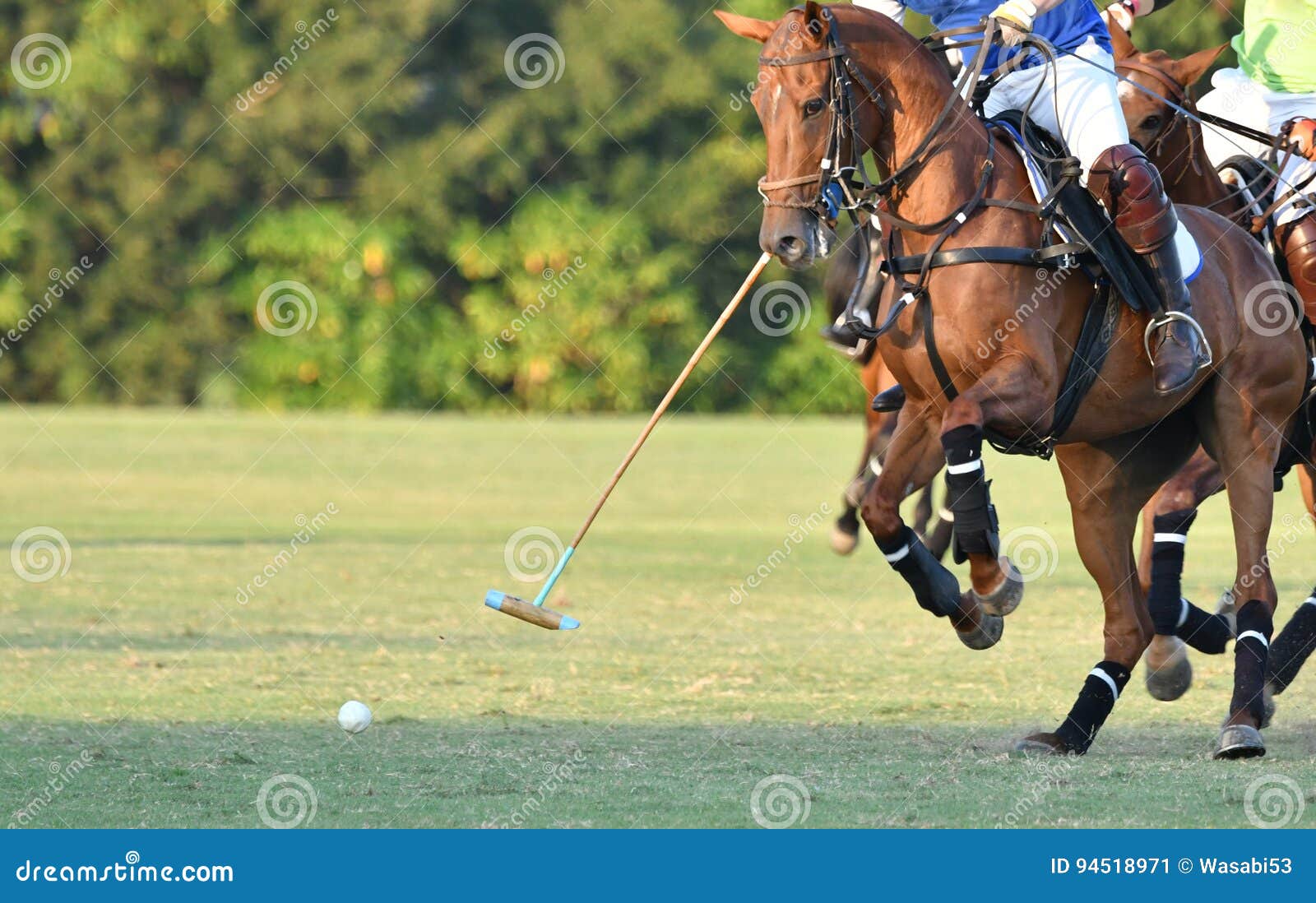 Horse polo stock image. Image of field, pony, match, sport - 94518971