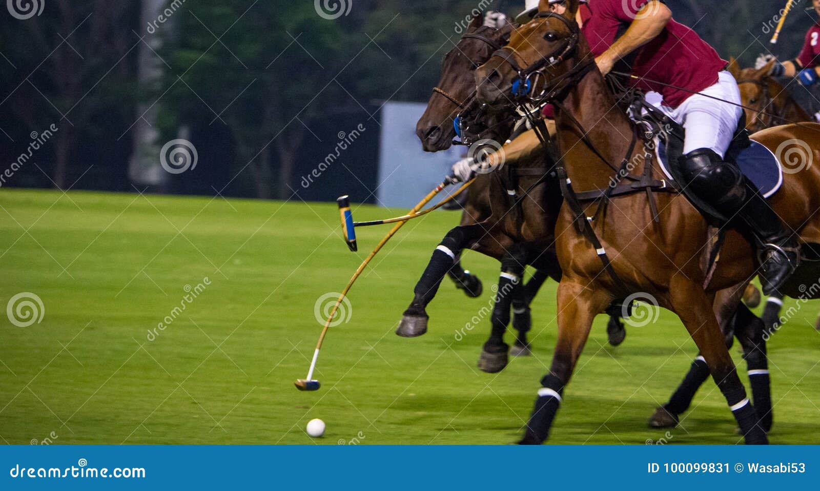 Horse Polo Running in a Night Polo Editorial Photo - Image of dirt ...