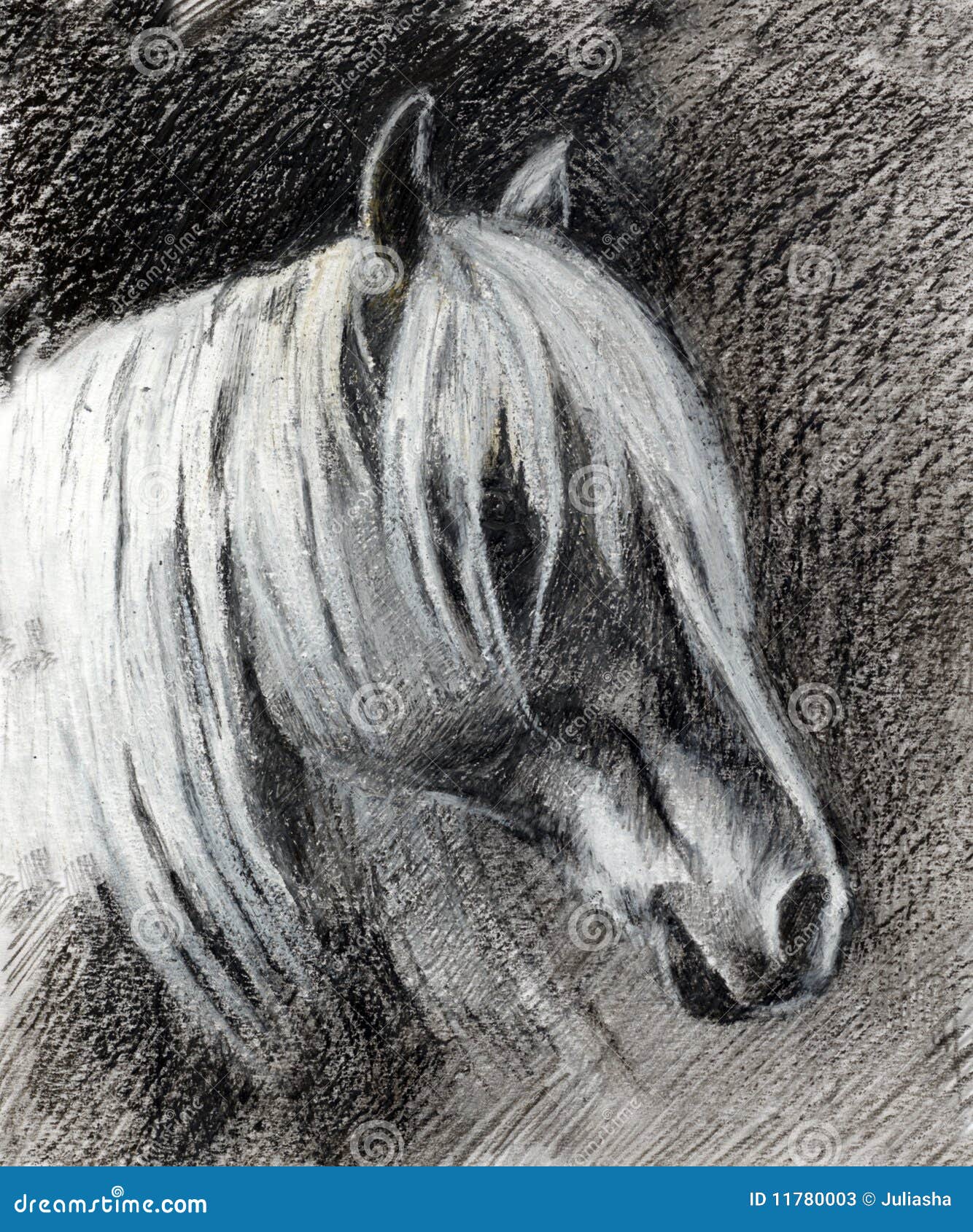 Horse portrait stock illustration. Illustration of soft - 11780003