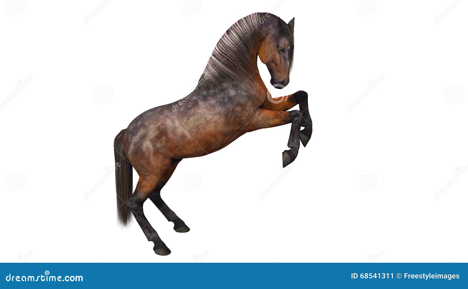 Horse Prancing, Hoofed Animal on White Stock Illustration ...