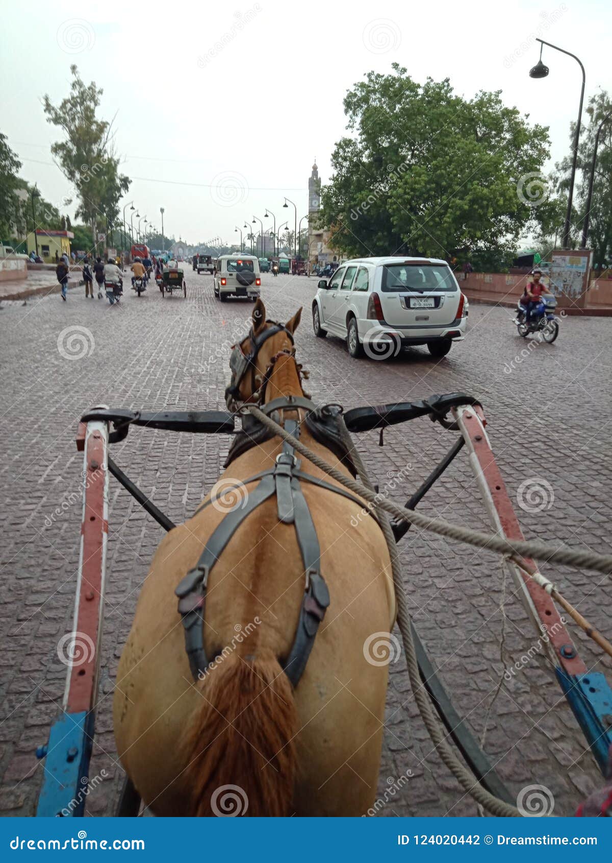 Horse cart editorial photography. Image of pulling, cart - 124020442