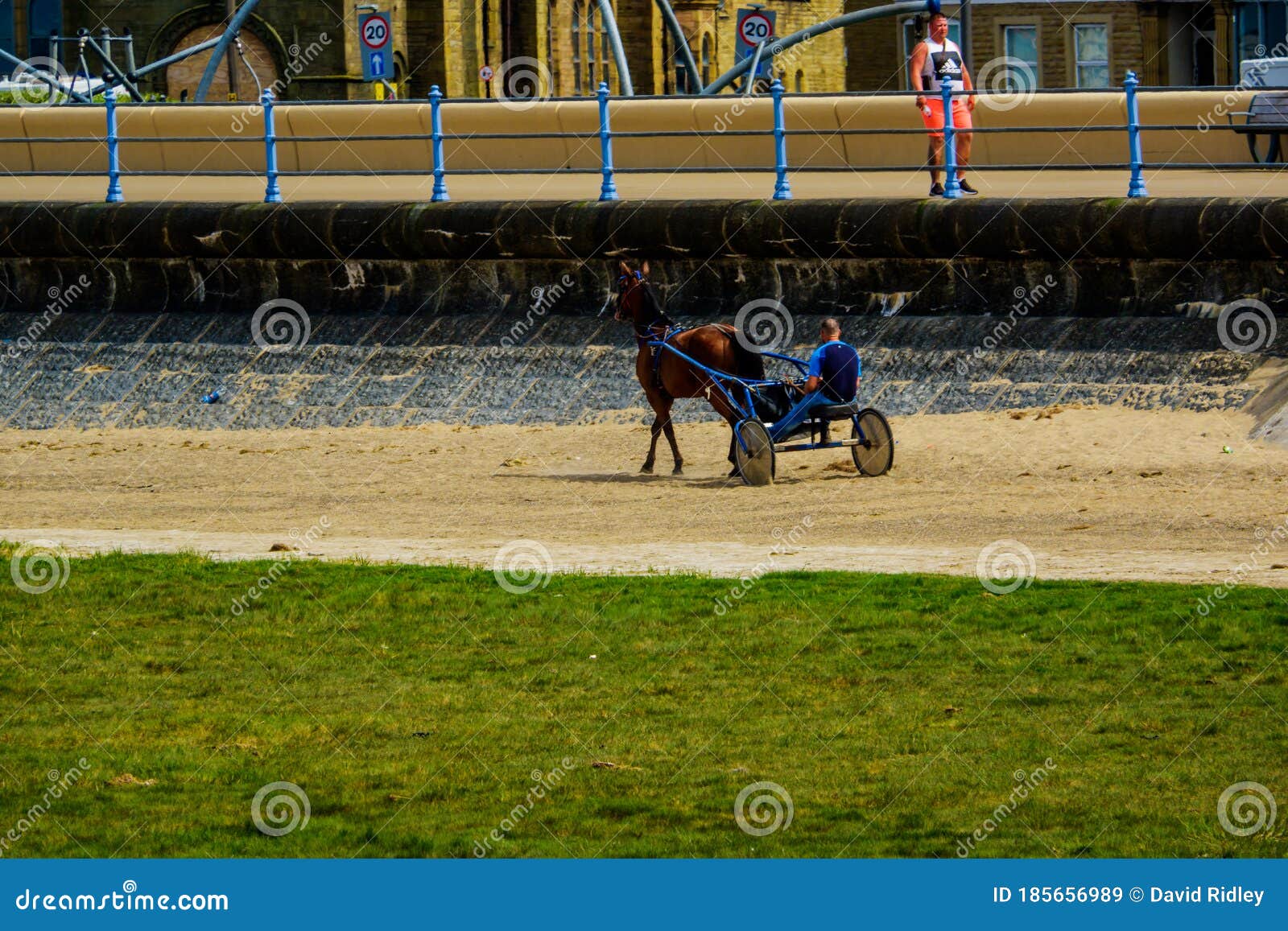 Horse Pulling Trap Being Driven by a Man on Morecambe Sands Editorial ...
