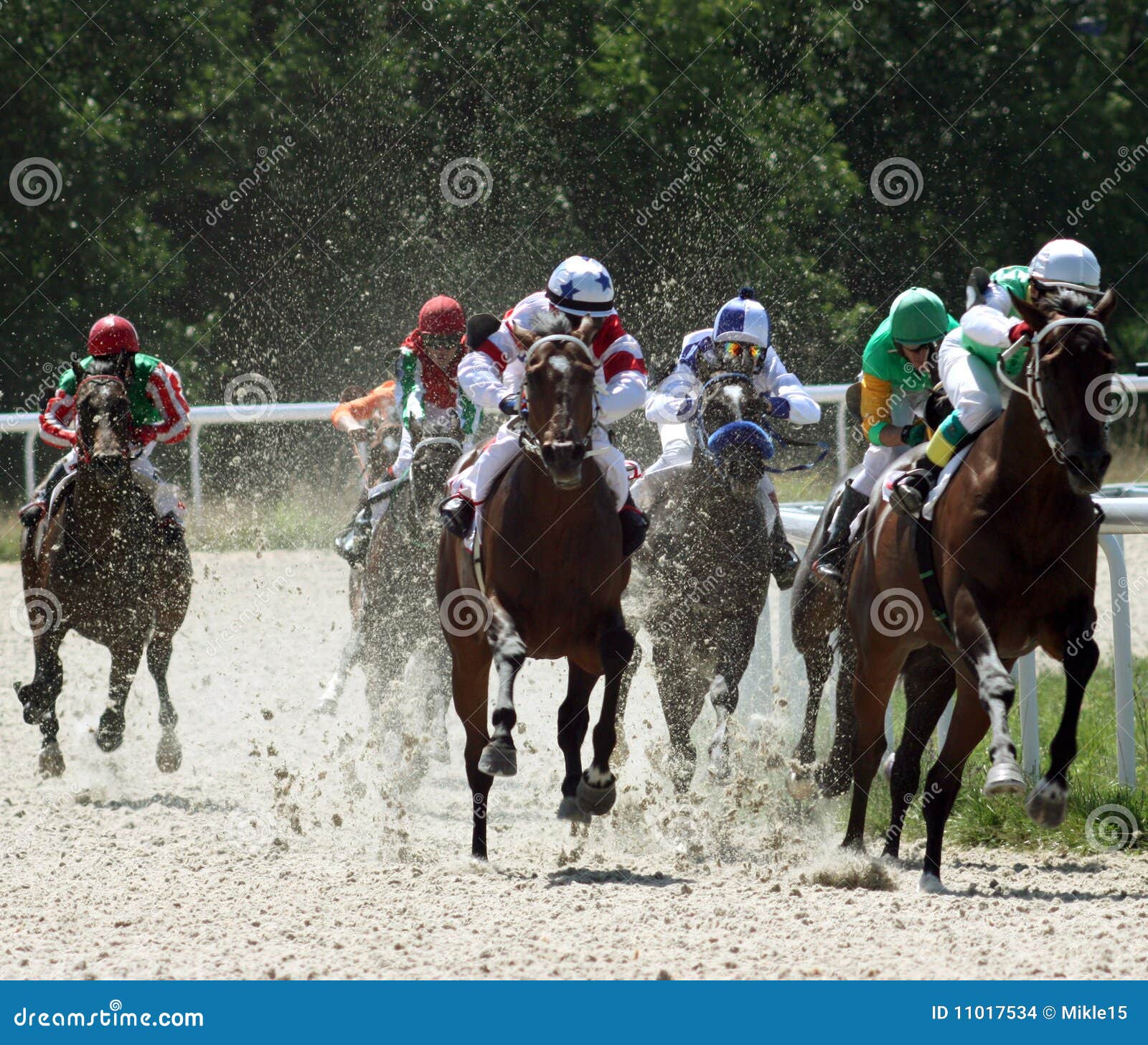 Horse race. editorial stock image. Image of pyatigorsk - 11017534